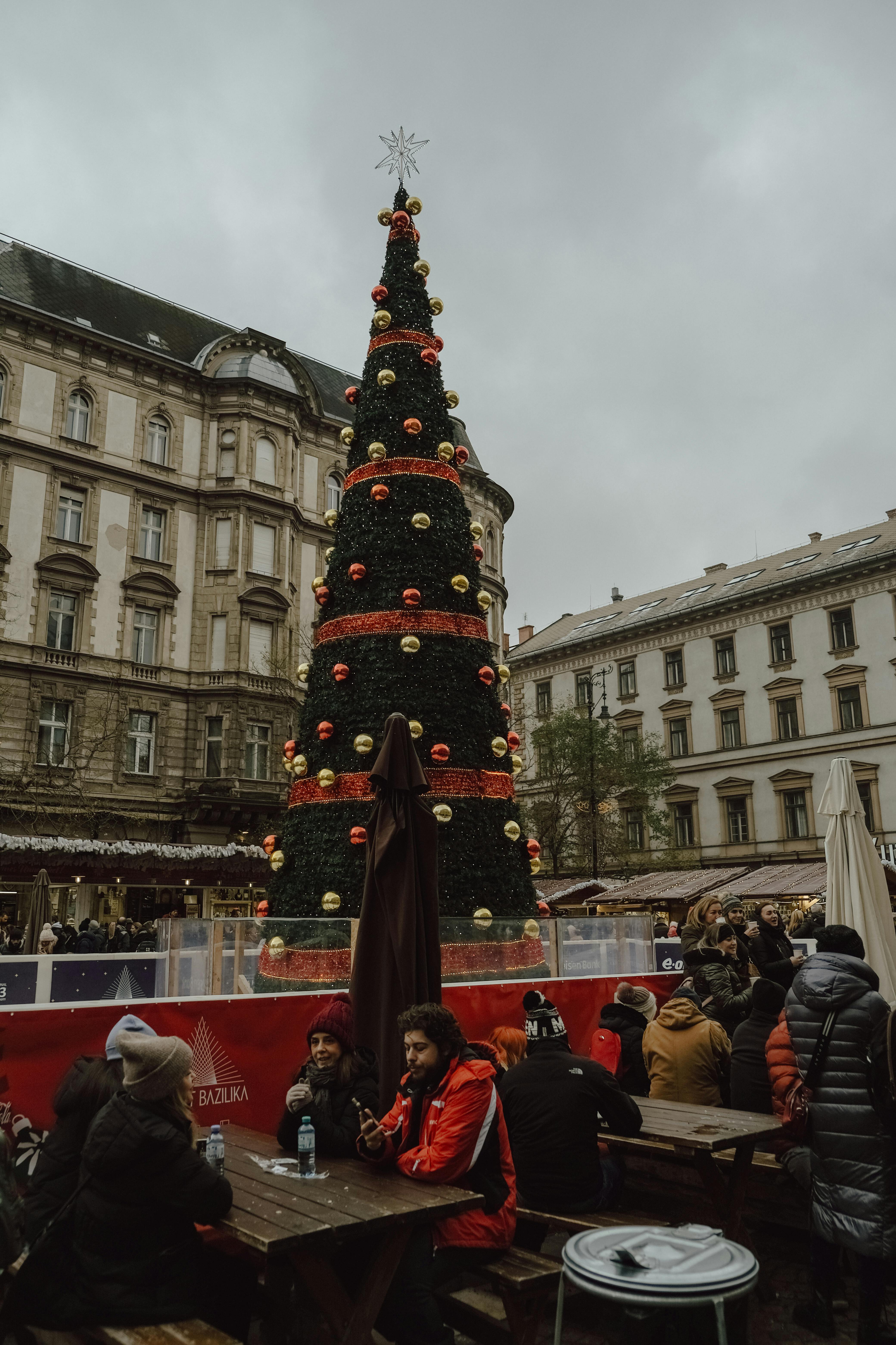 Christmas Tree in Budapest, Hungary · Free Stock Photo