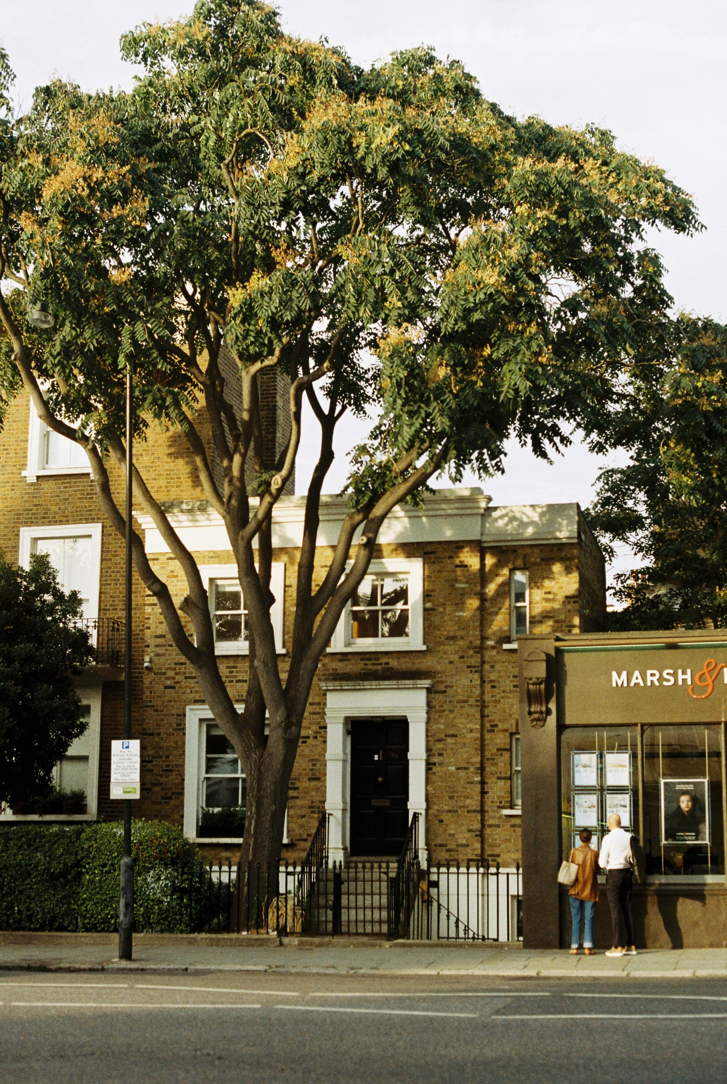 Black Light Post Near Tree · Free Stock Photo