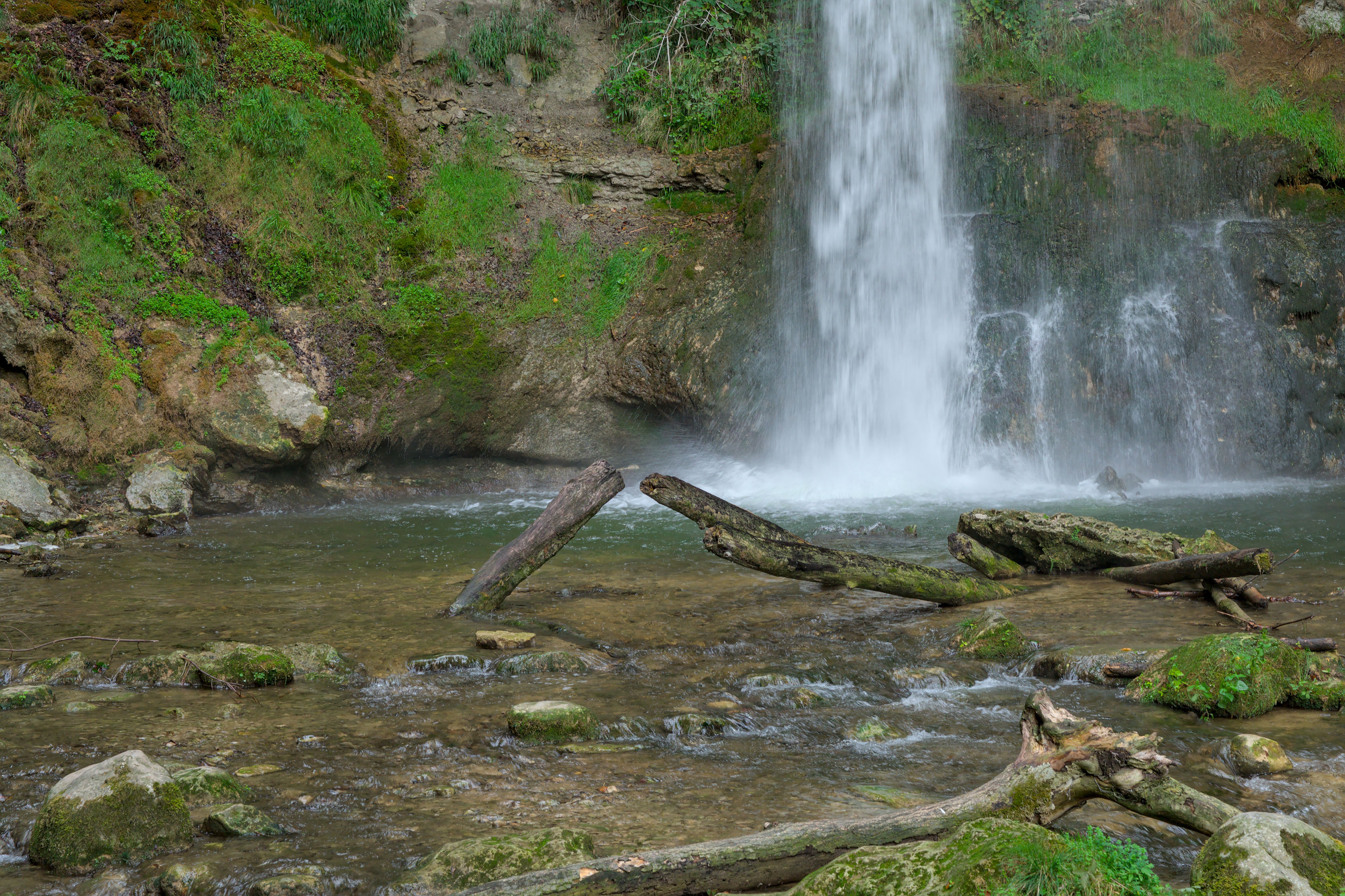 Waterfall in a Forest · Free Stock Photo