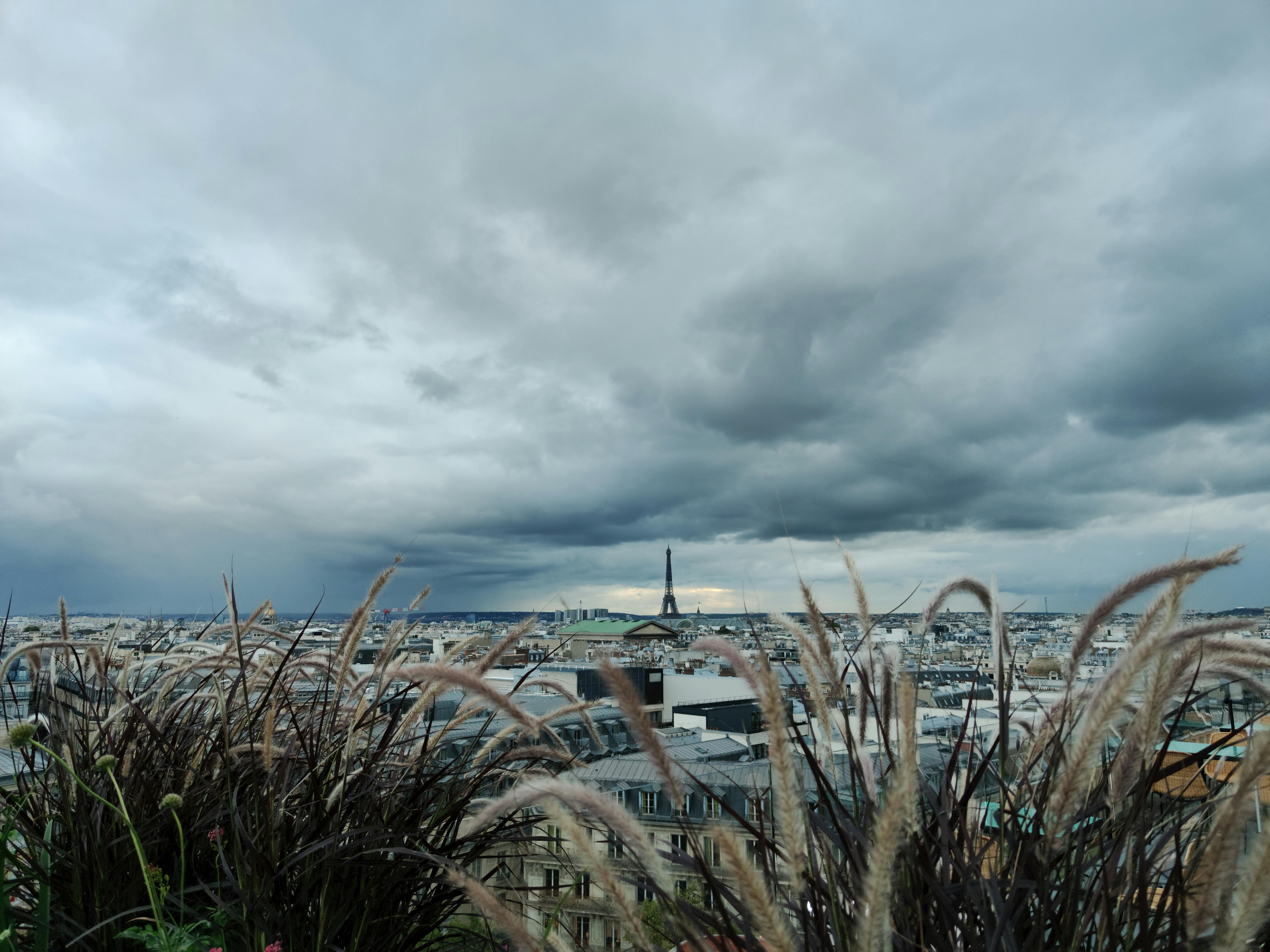 Panorama of Paris Roof Tops under Overcast Sky · Free Stock Photo