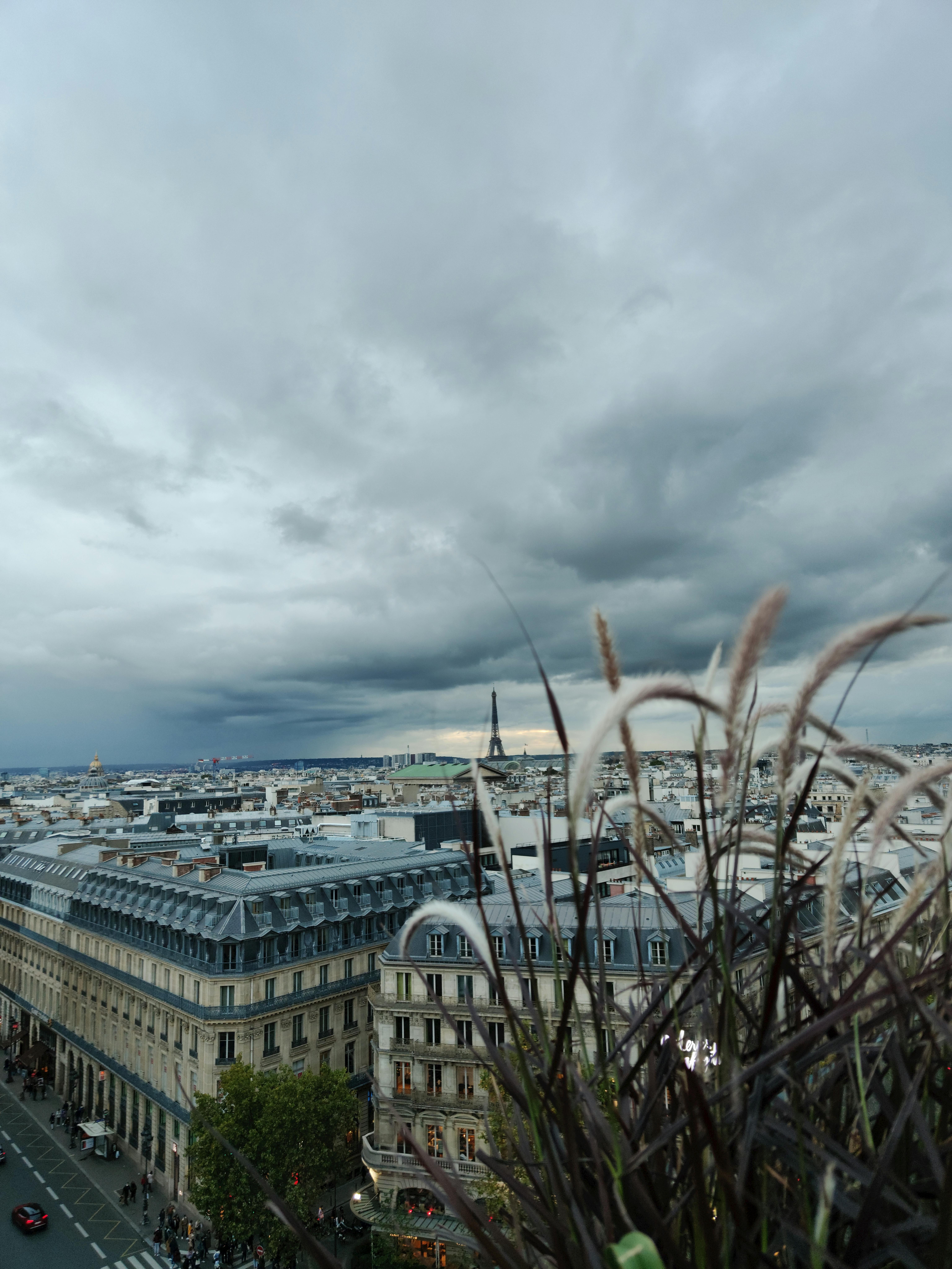 Street Paris Photos, Download The BEST Free Street Paris Stock Photos ...