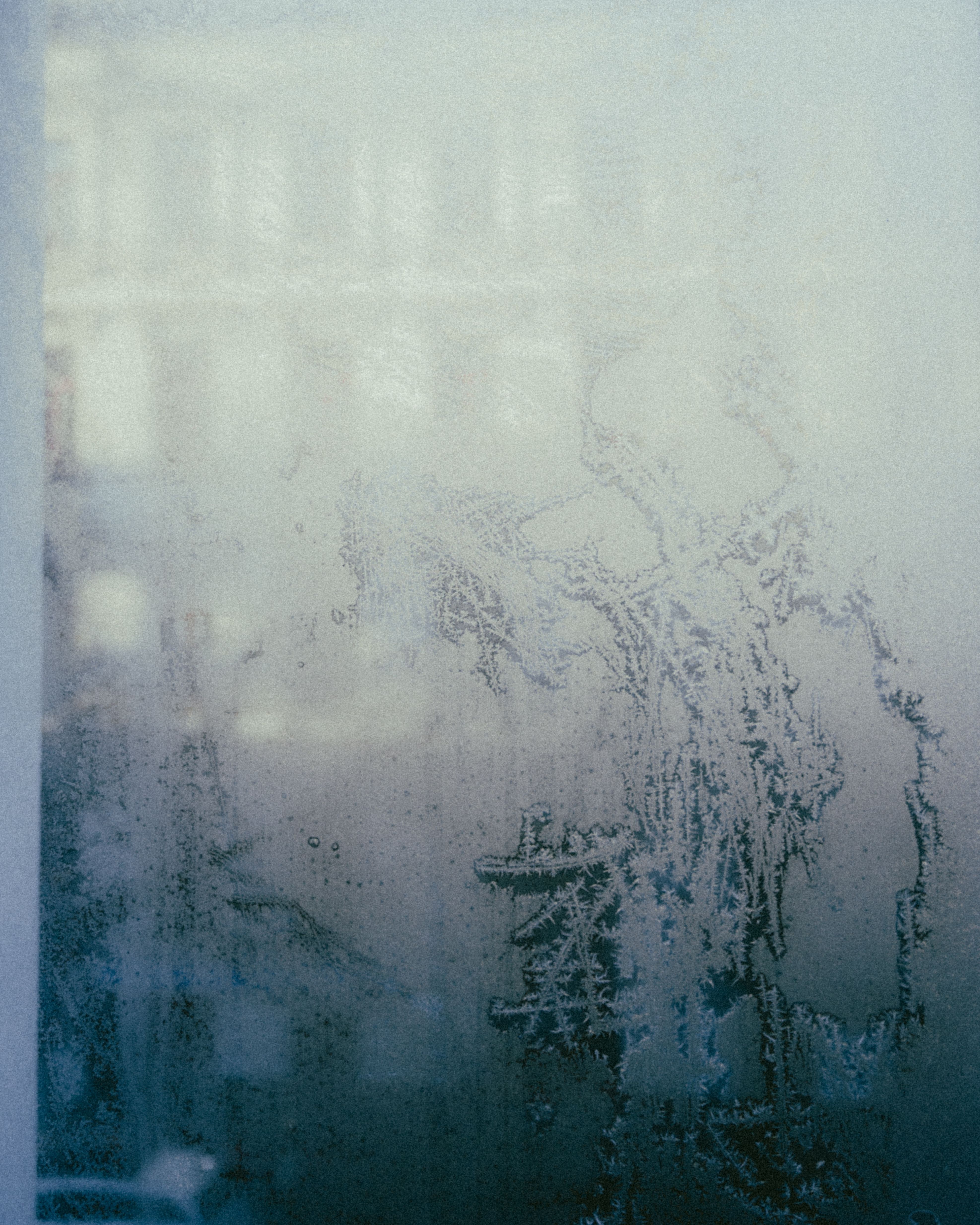 Winter Opacity Photos, Download The BEST Free Winter Opacity Stock ...