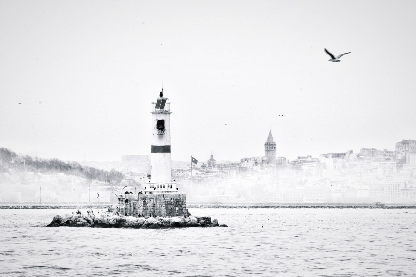 Lighthouse Grayscale Photos, Download The BEST Free Lighthouse ...