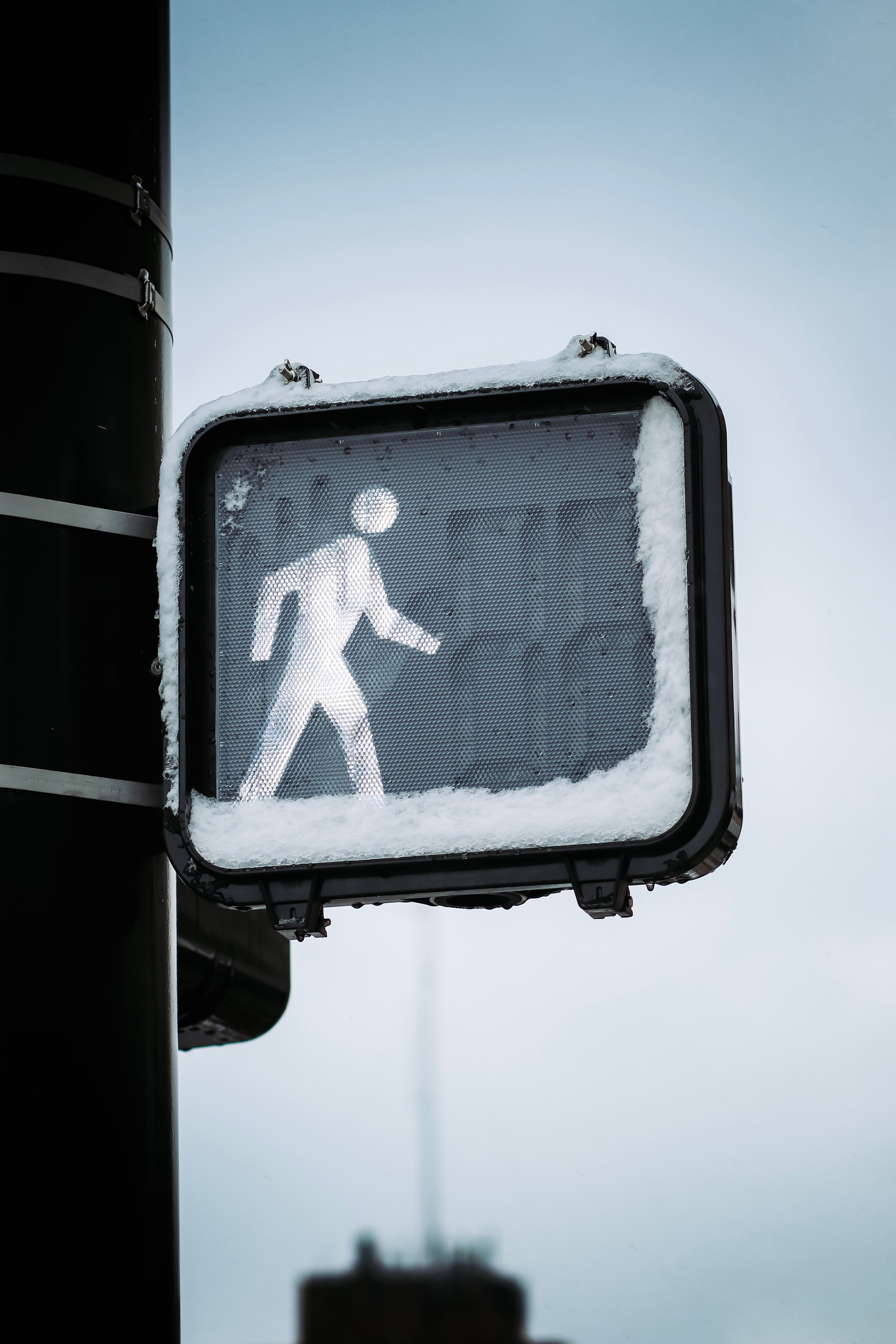 White and Black Street Sign · Free Stock Photo