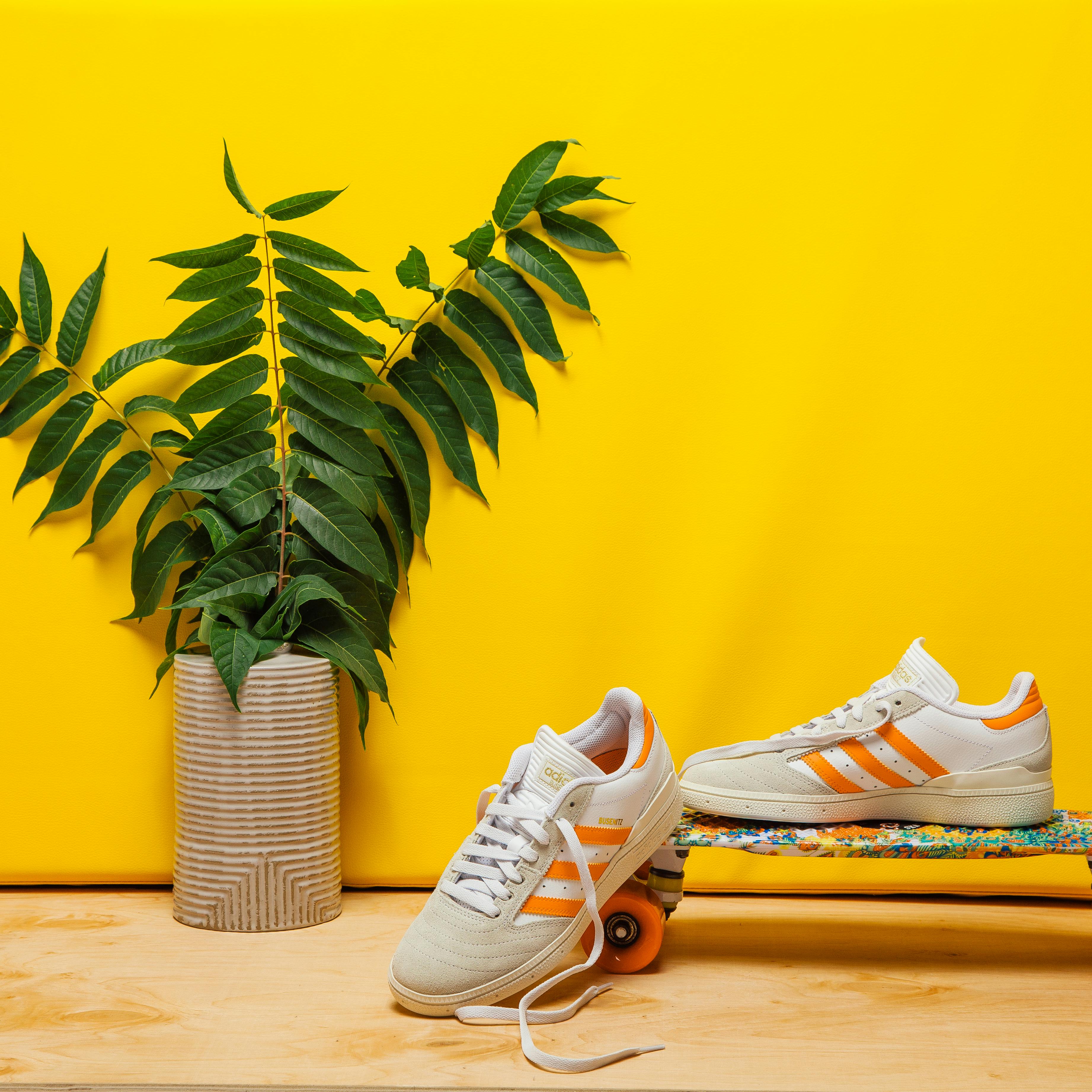 Elevate your style with vibrant kicks! Explore a spectrum of colors in ...