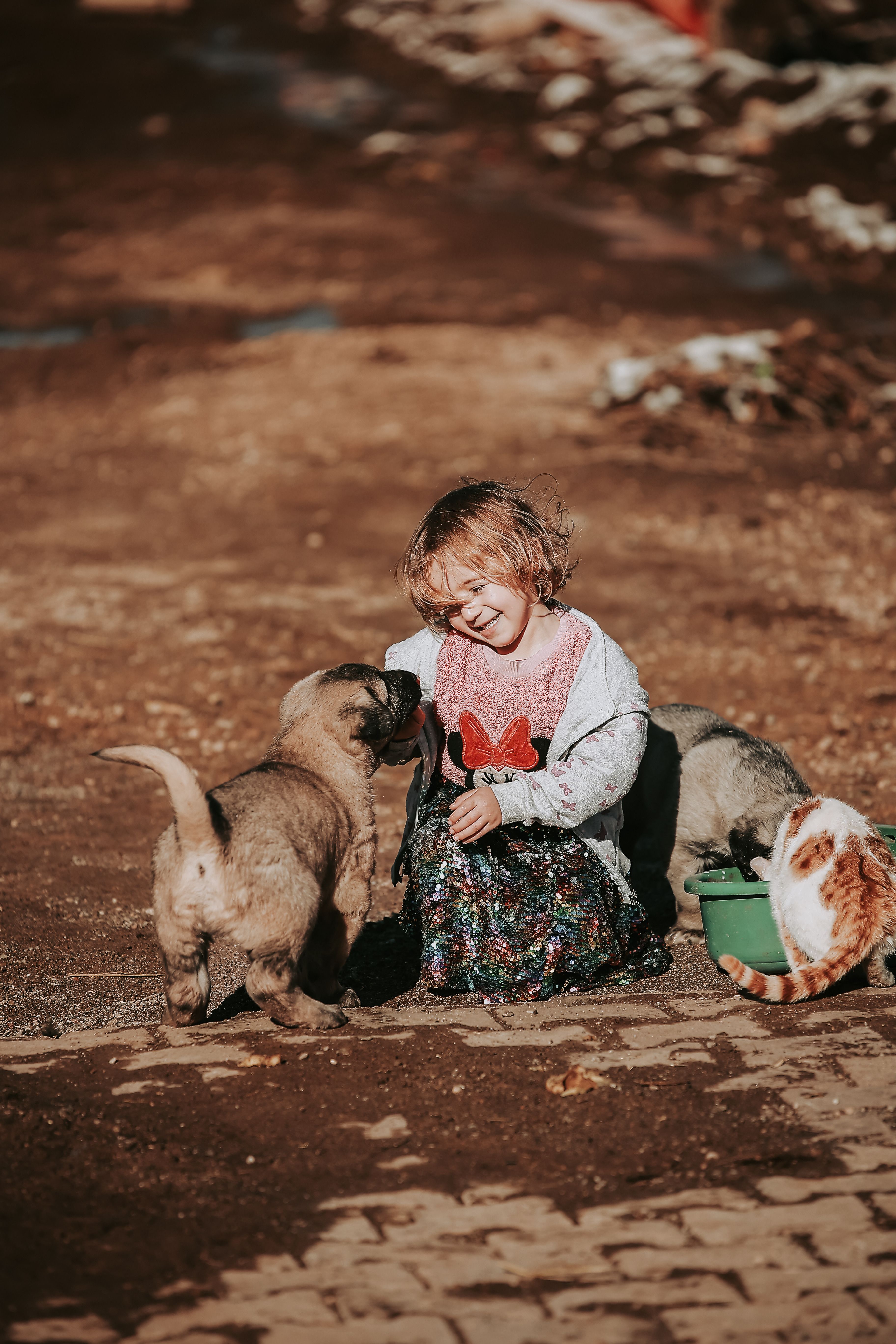 A Little Girl Sitting Outside and Playing with Animals · Free Stock Photo
