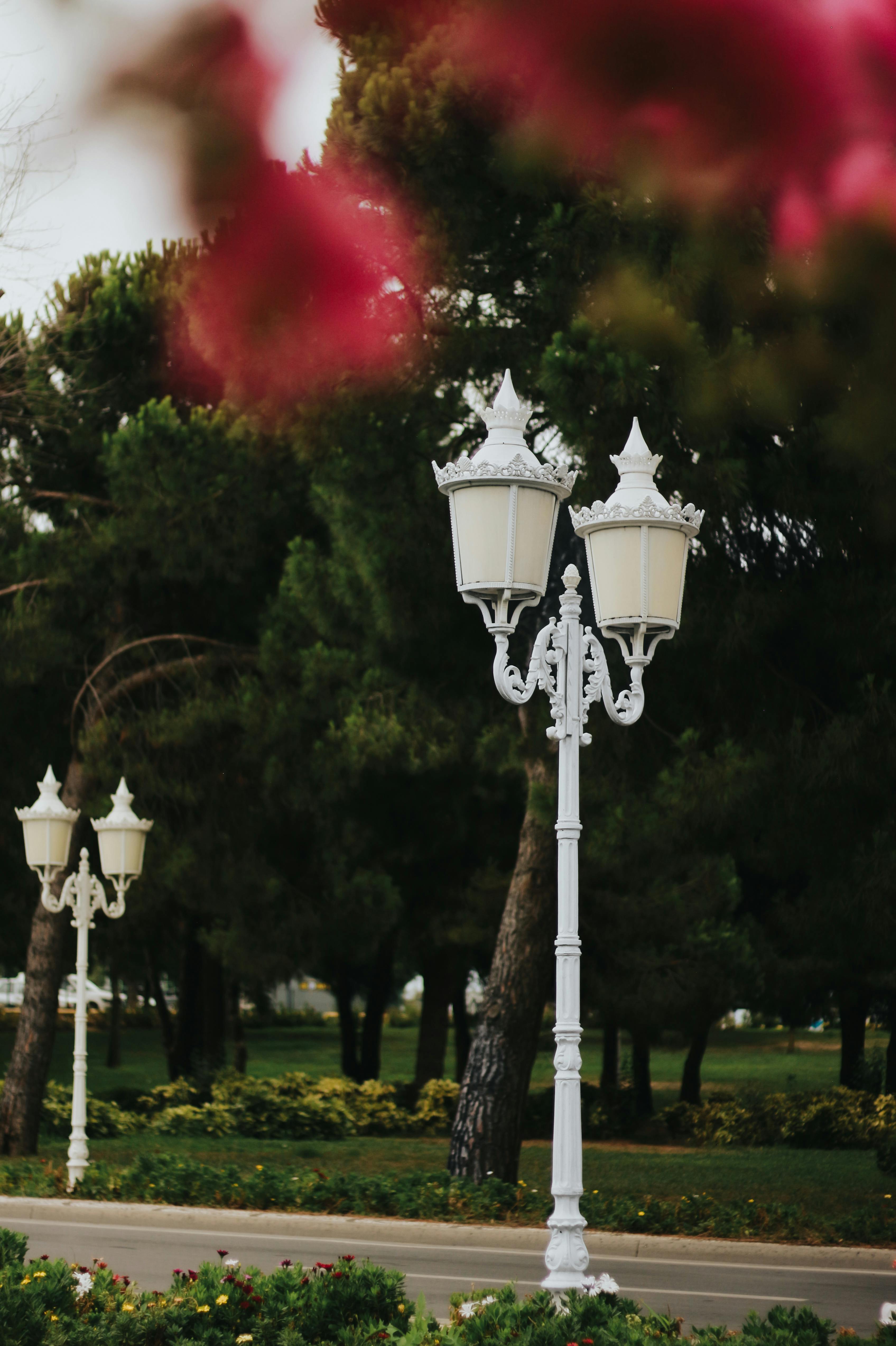 Decorated Lamps in Park · Free Stock Photo