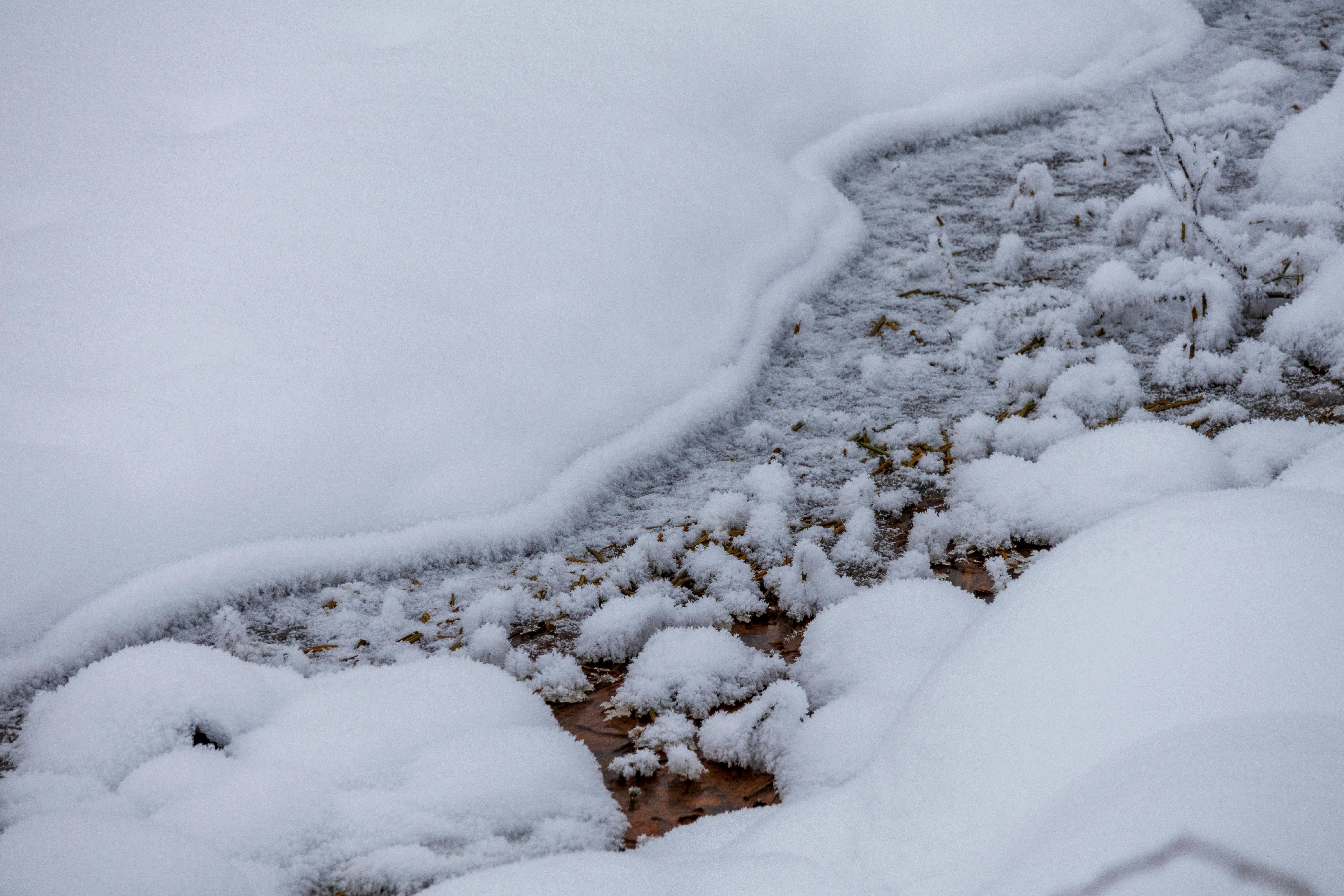 Snow on Ground in Winter · Free Stock Photo