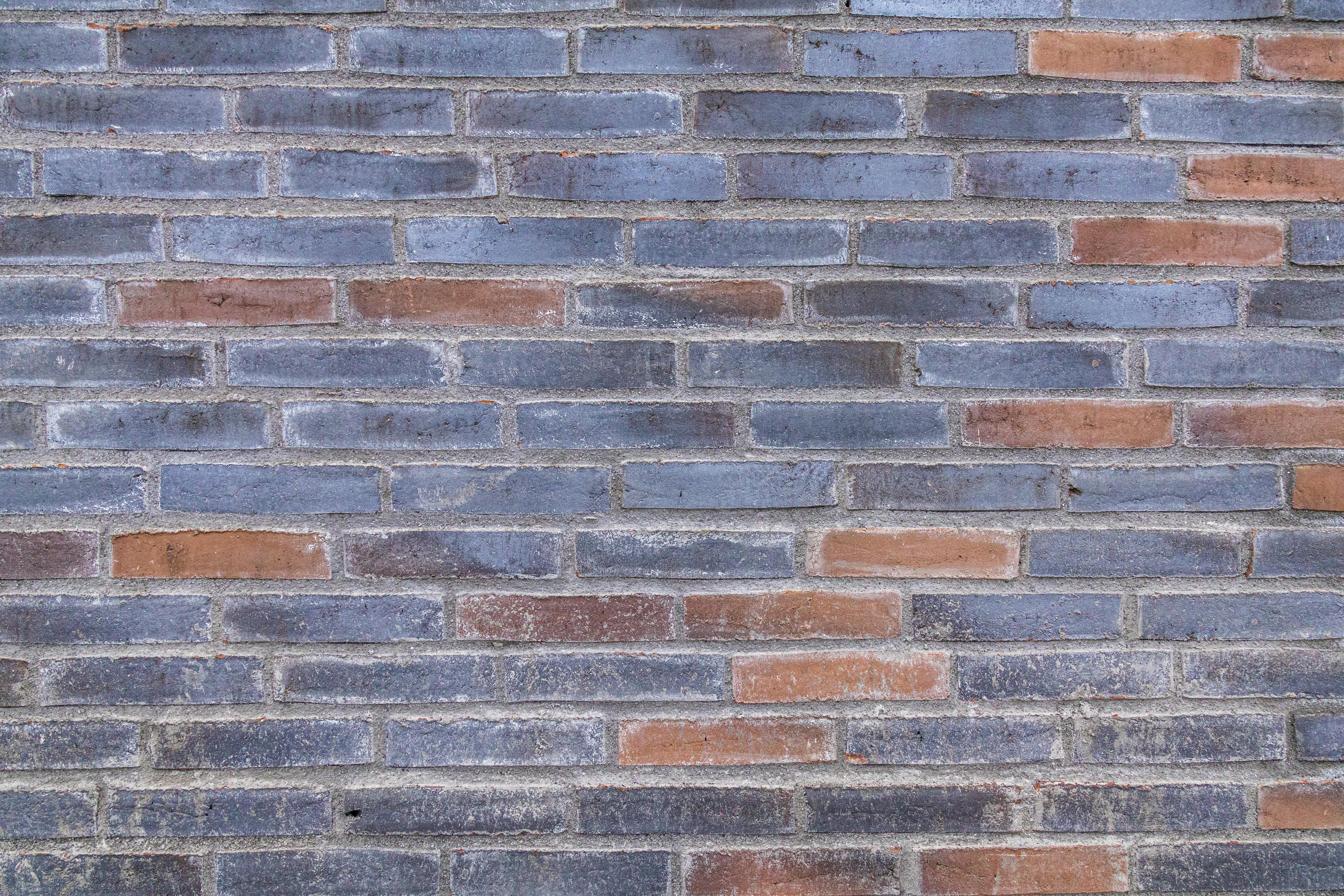Close-up of a Brick Wall · Free Stock Photo