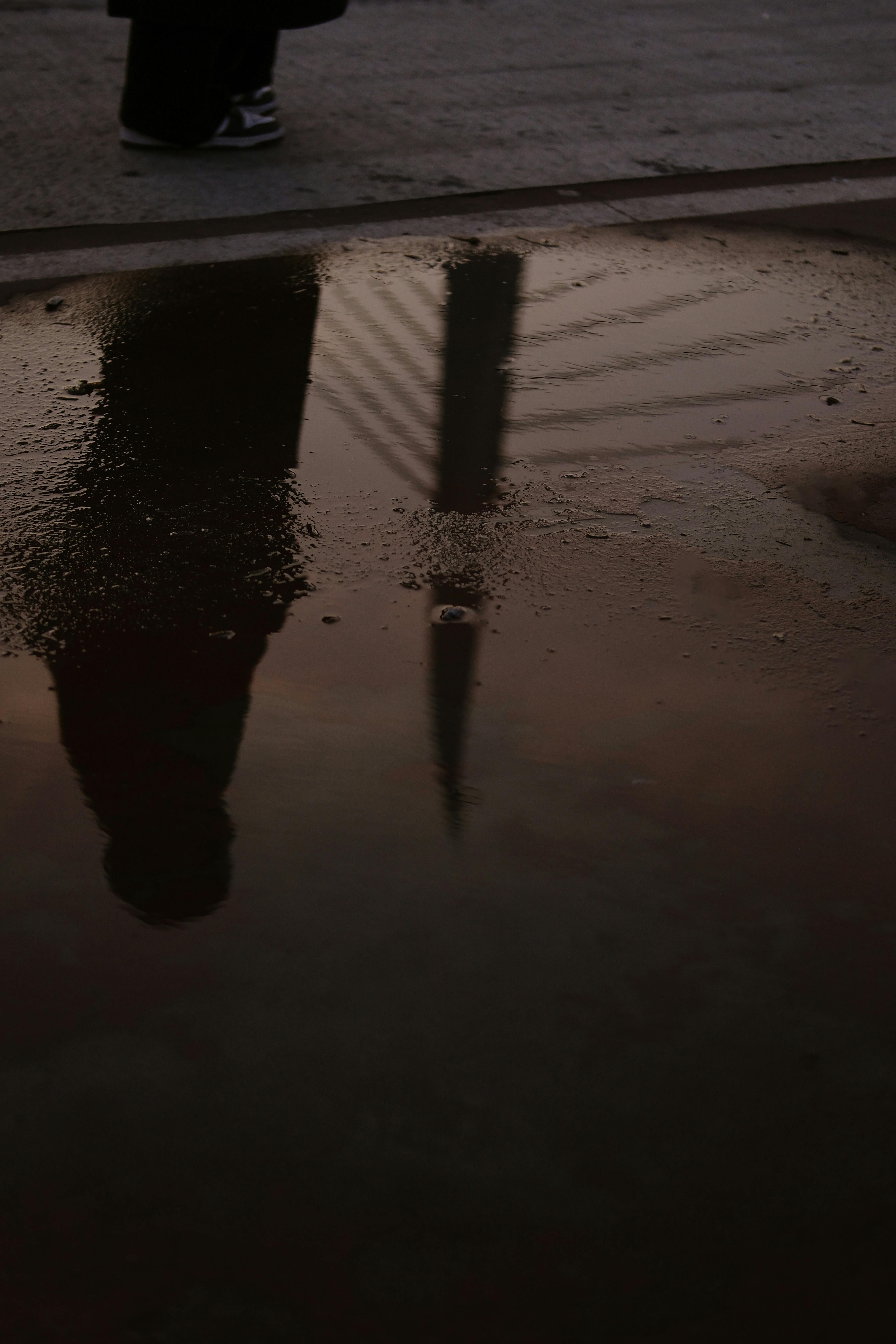 Reflection in a Puddle · Free Stock Photo
