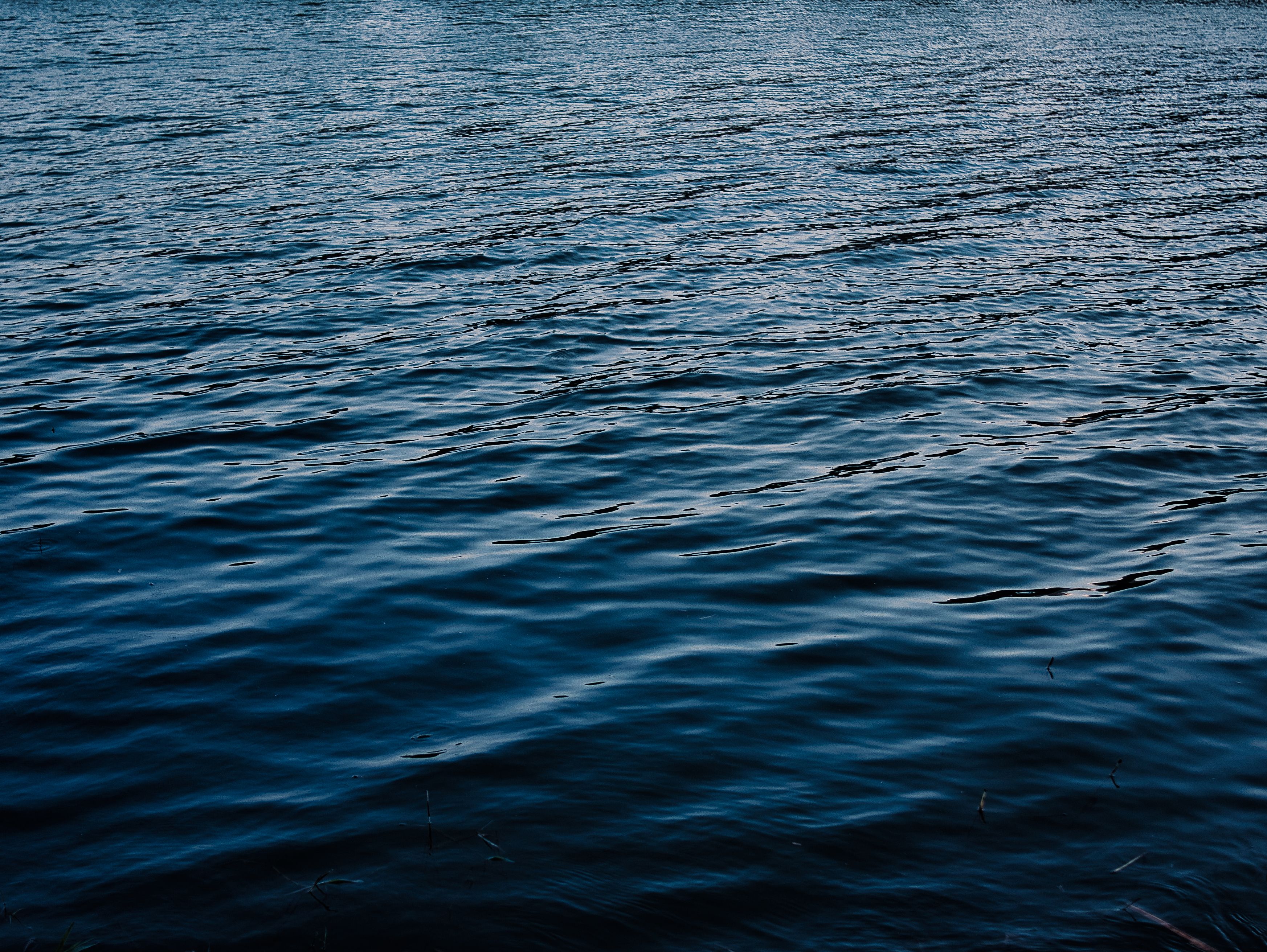 Waves in a Lake · Free Stock Photo