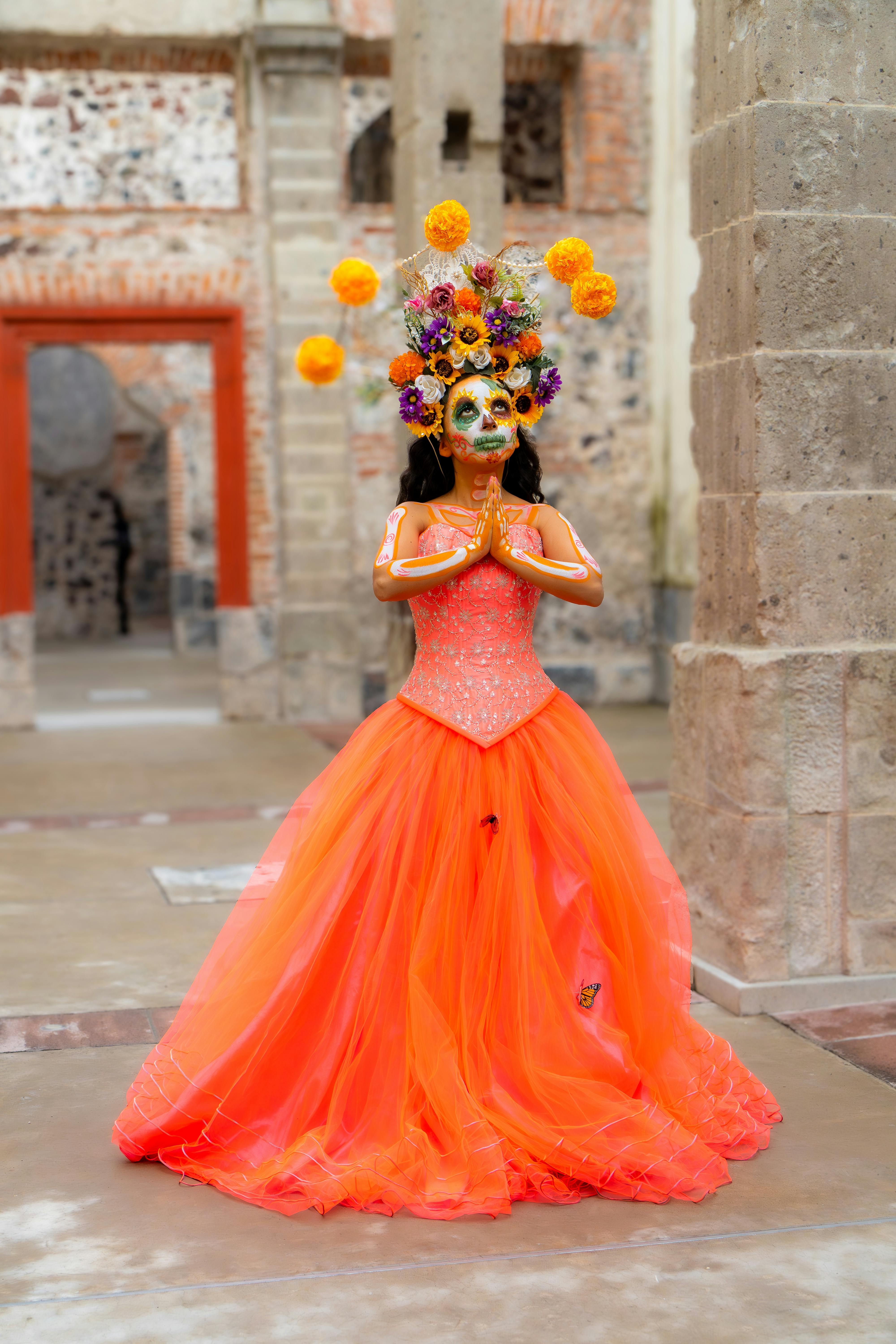 Plume De Poule Photos, Download The BEST Free Plume De Poule Stock ...