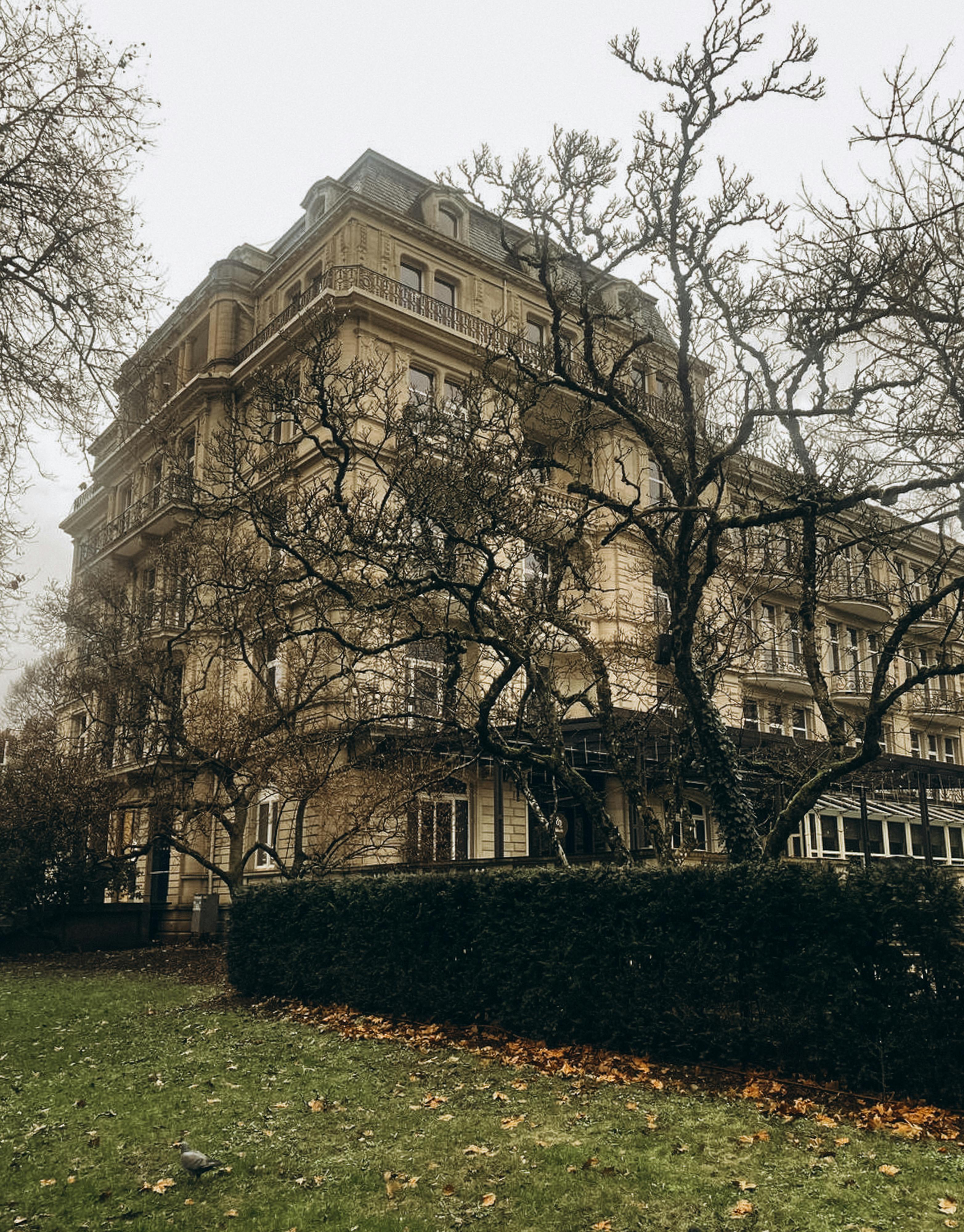 Trees near Building Corner · Free Stock Photo