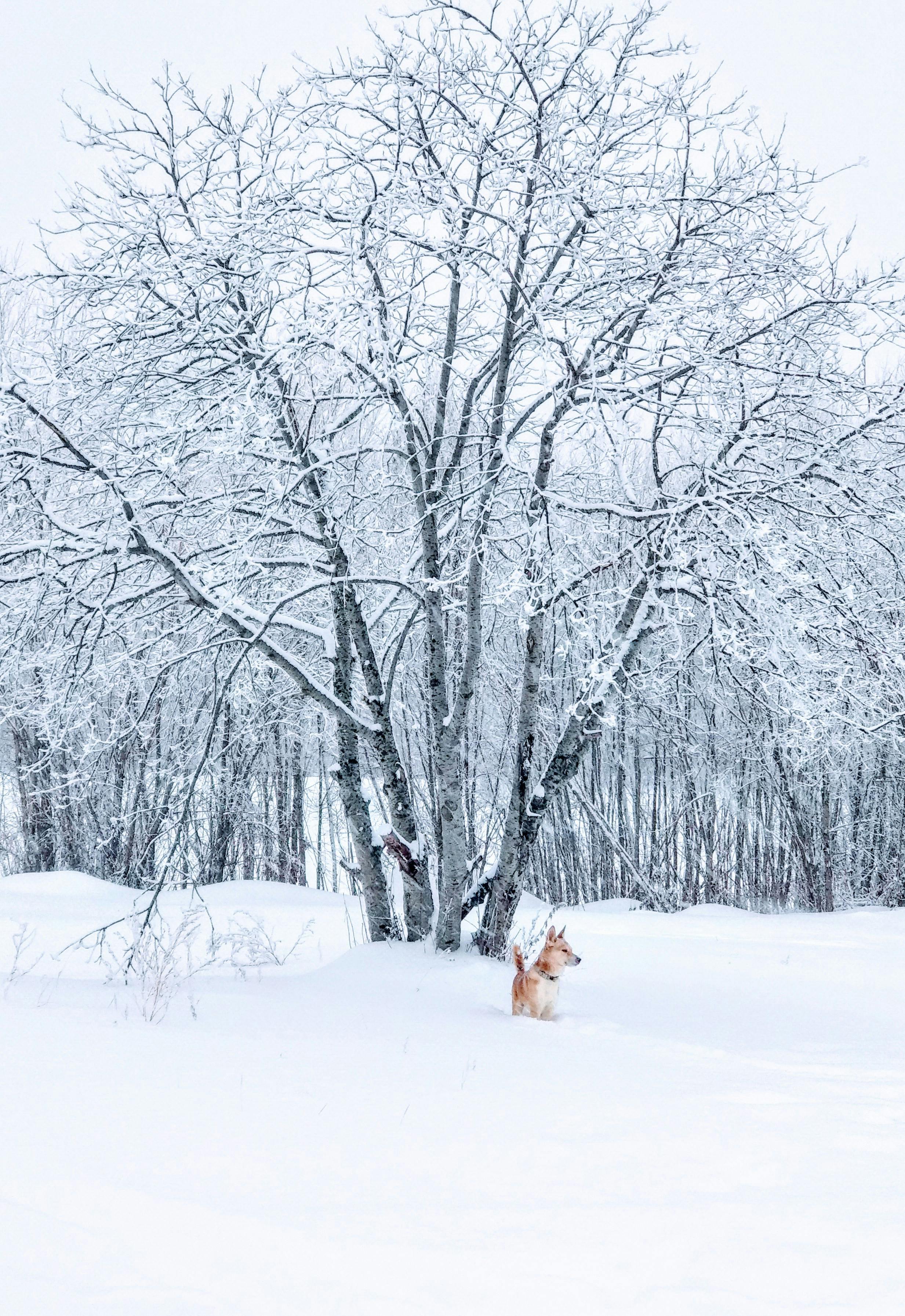 Dmitry Samsonov - Photography