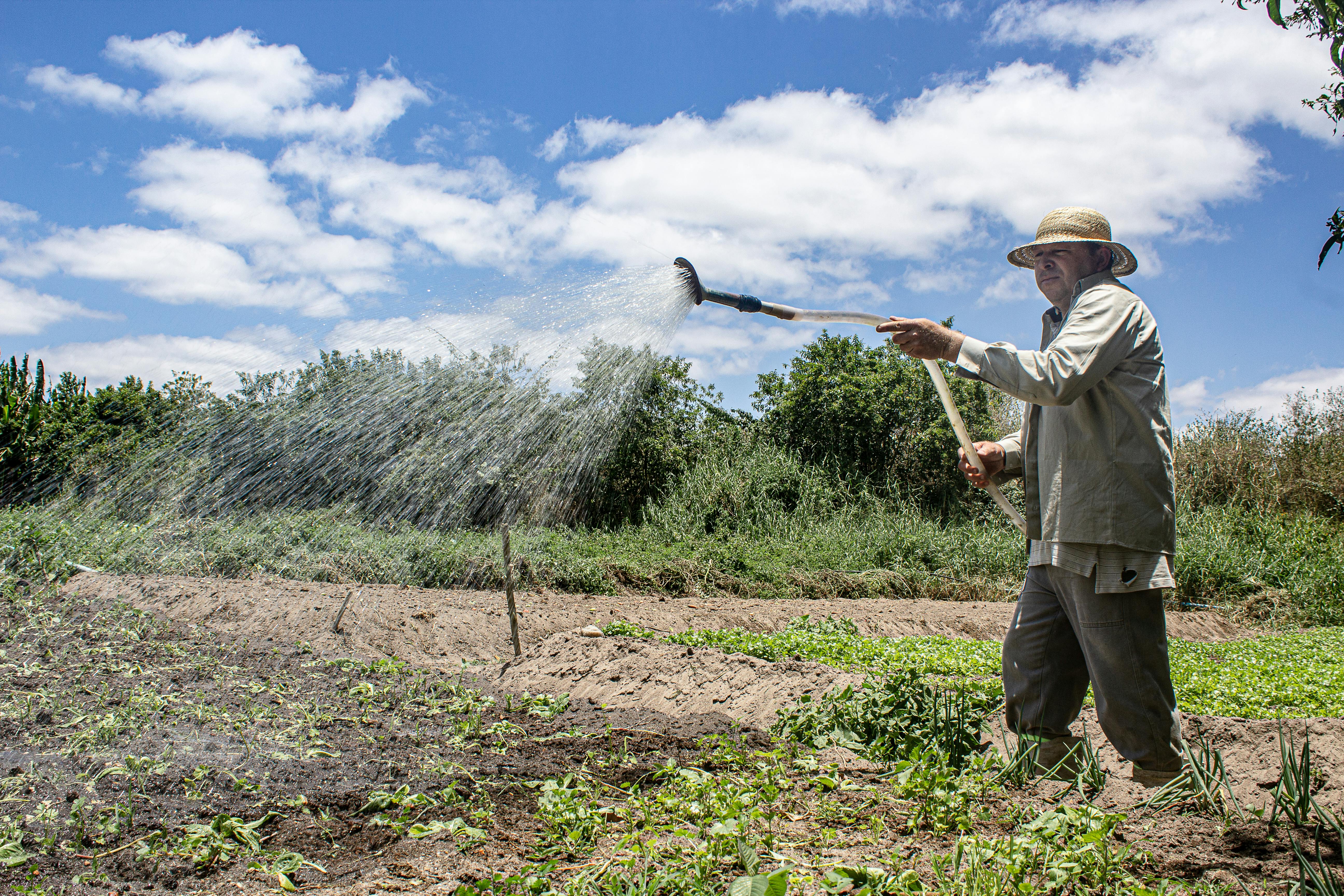 Farmer Watering Plants on Field · Free Stock Photo