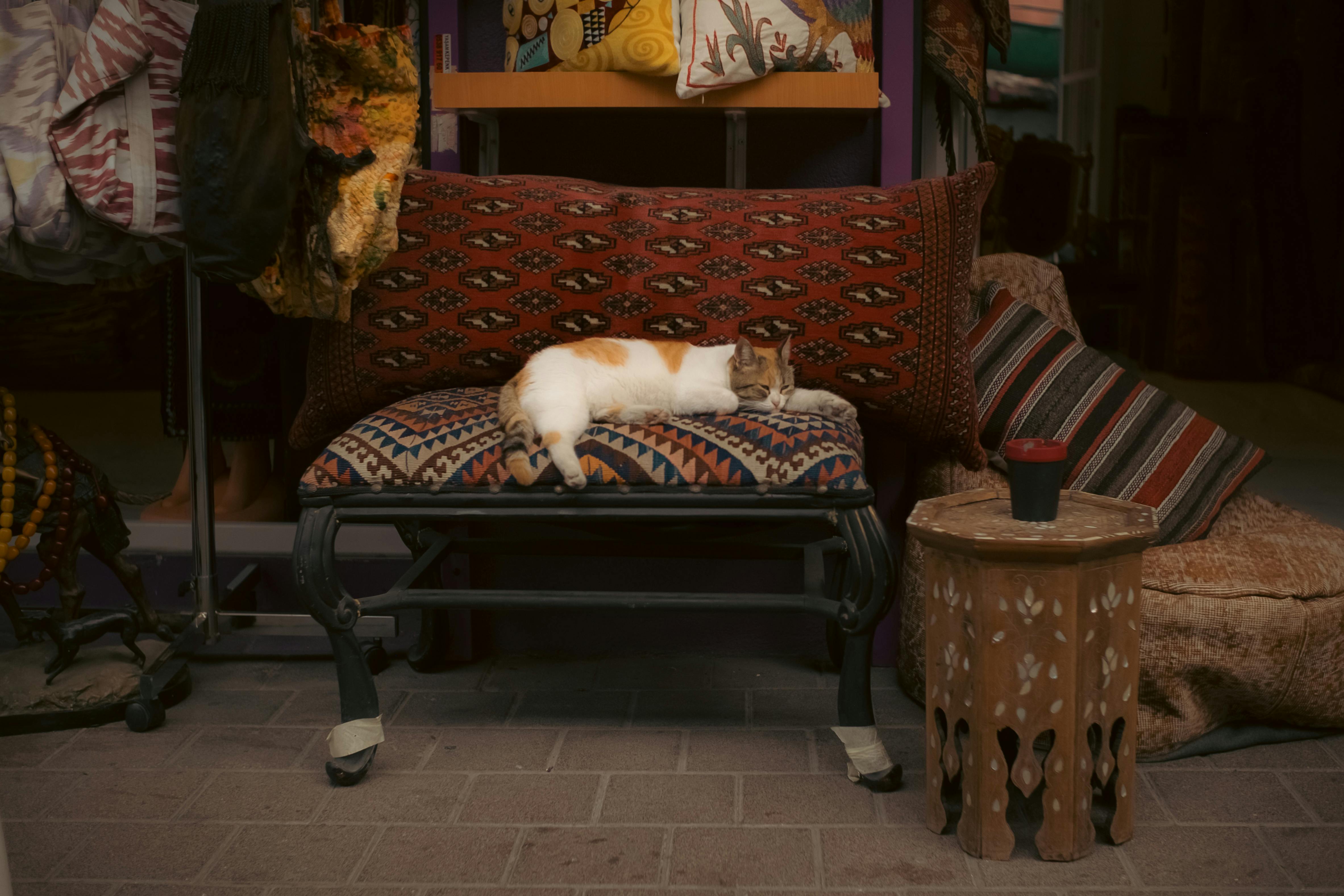 Classic Islamic Flat Interior of House in Istanbul · Free Stock Photo