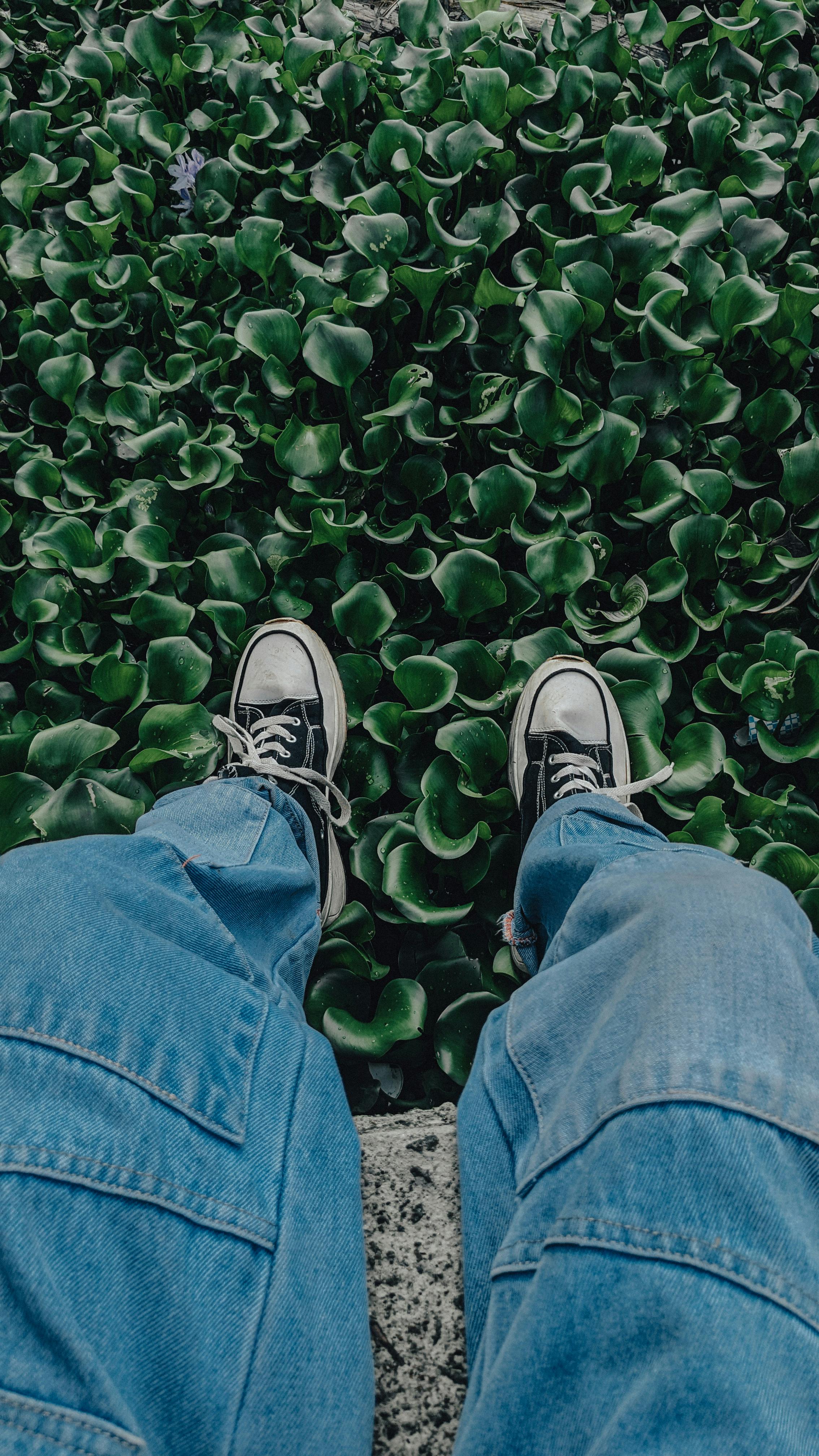 The Viewmaker - Photography