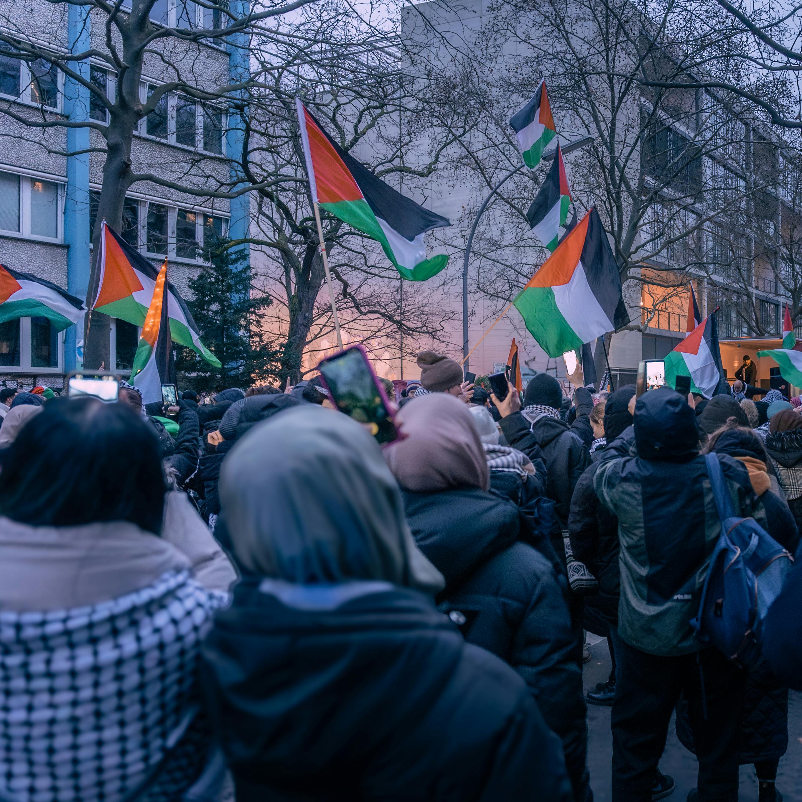 Gaza Photos, Download The BEST Free Gaza Stock Photos & HD Images