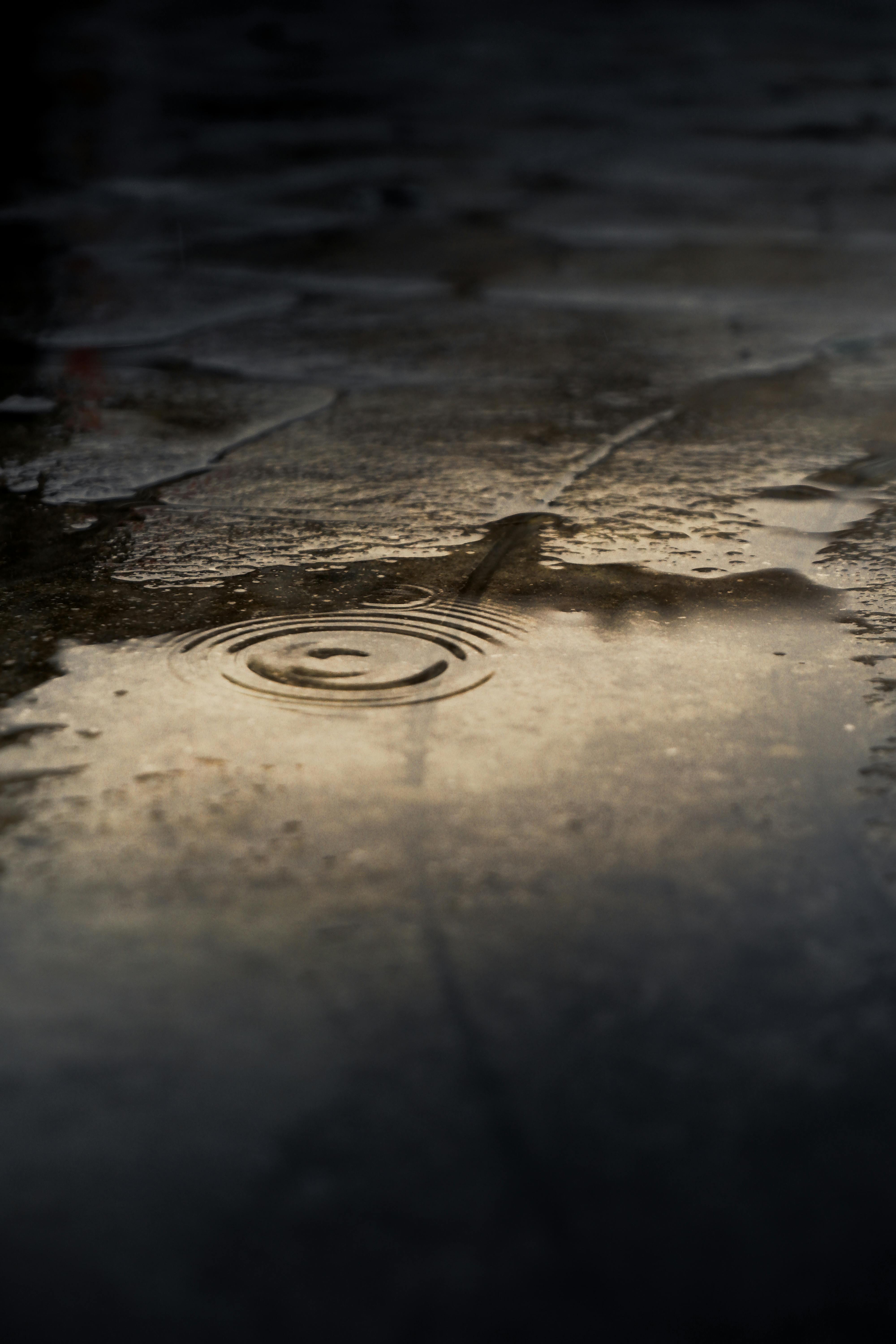 Puddle on Pavement · Free Stock Photo