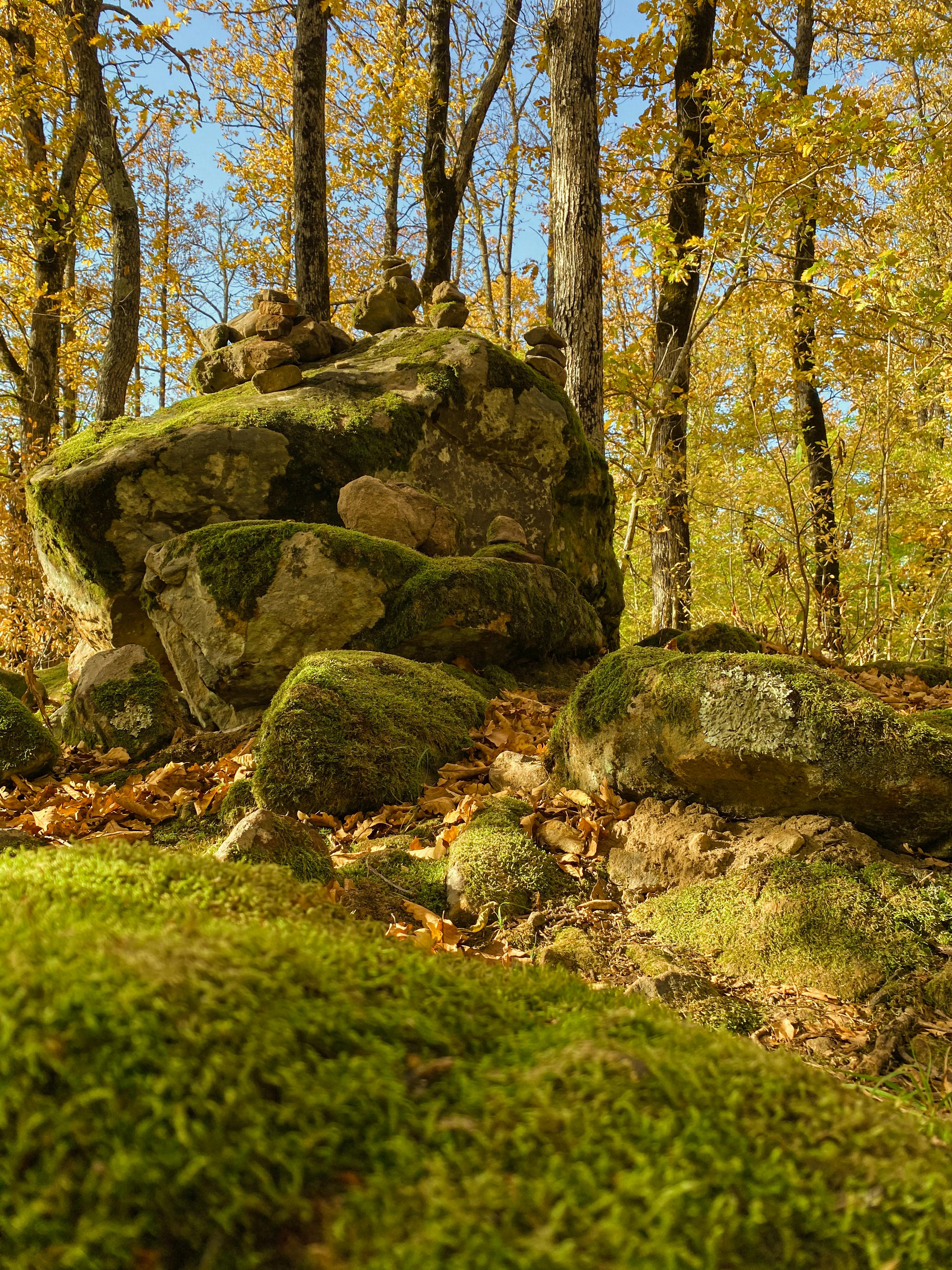Mossy Boulders with Stacks of Stones in the Forest · Free Stock Photo