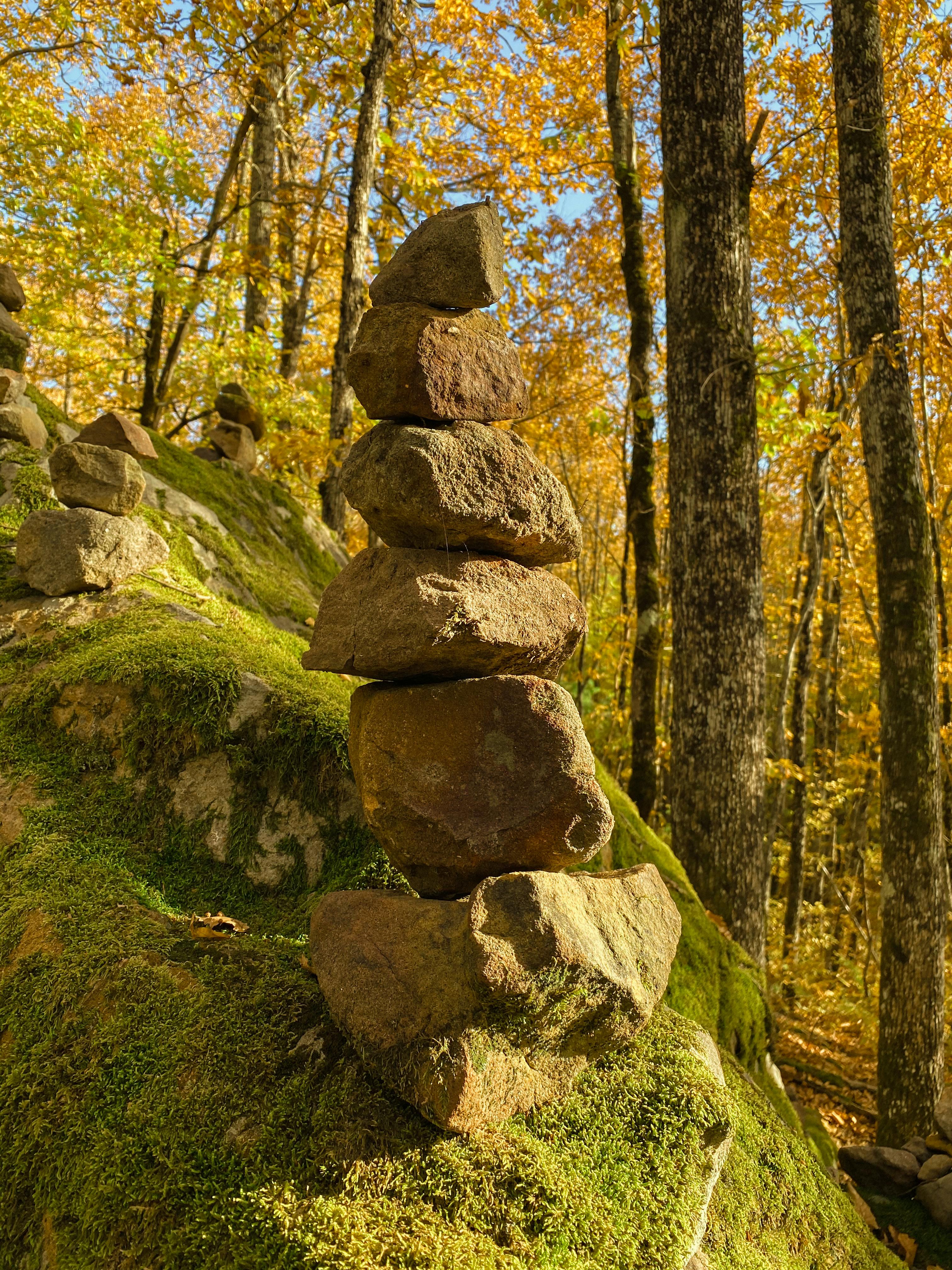 A stack of rocks in the woods with fall colors · Free Stock Photo