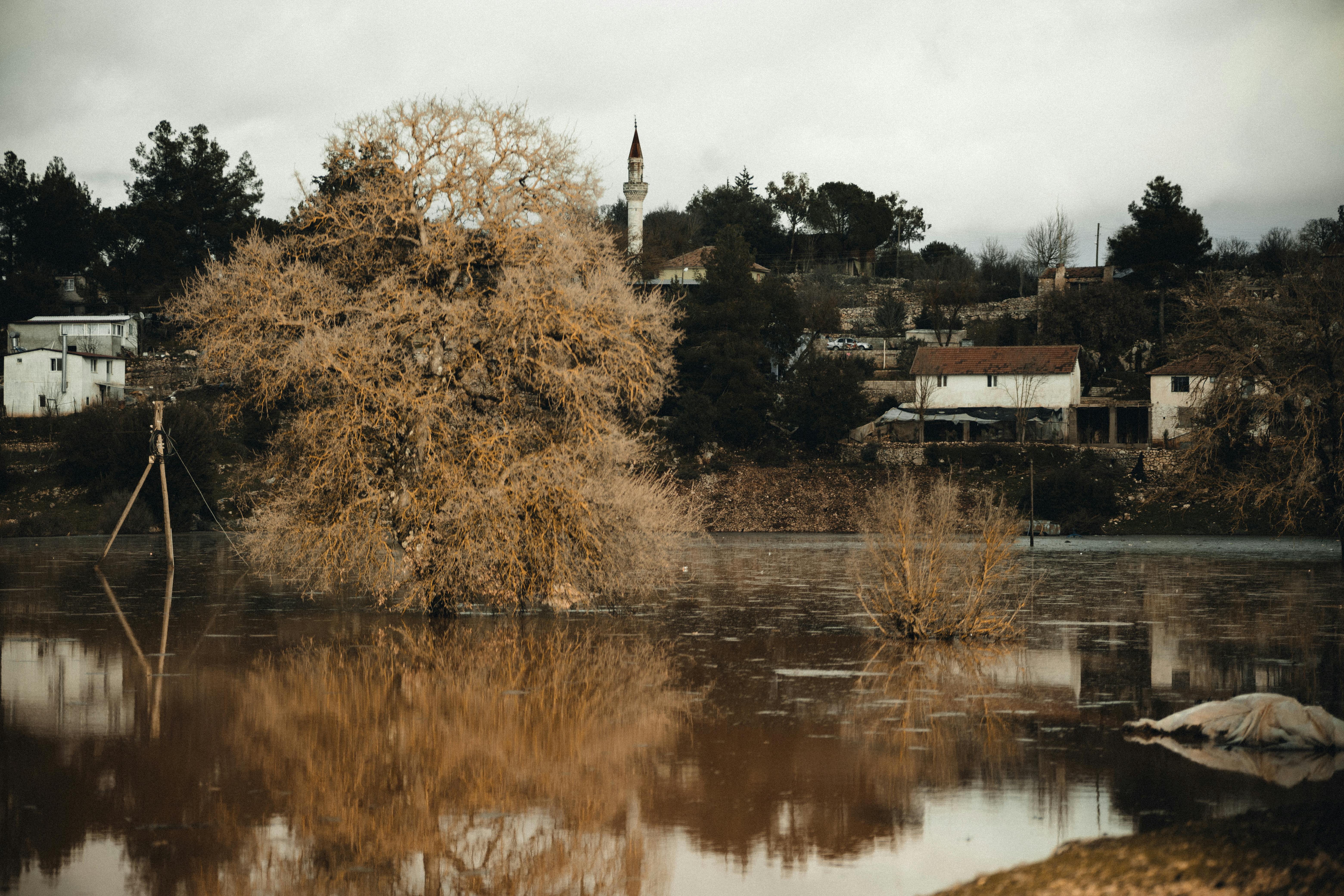 Tokoh Area Ana Photos, Download The BEST Free Tokoh Area Ana Stock ...