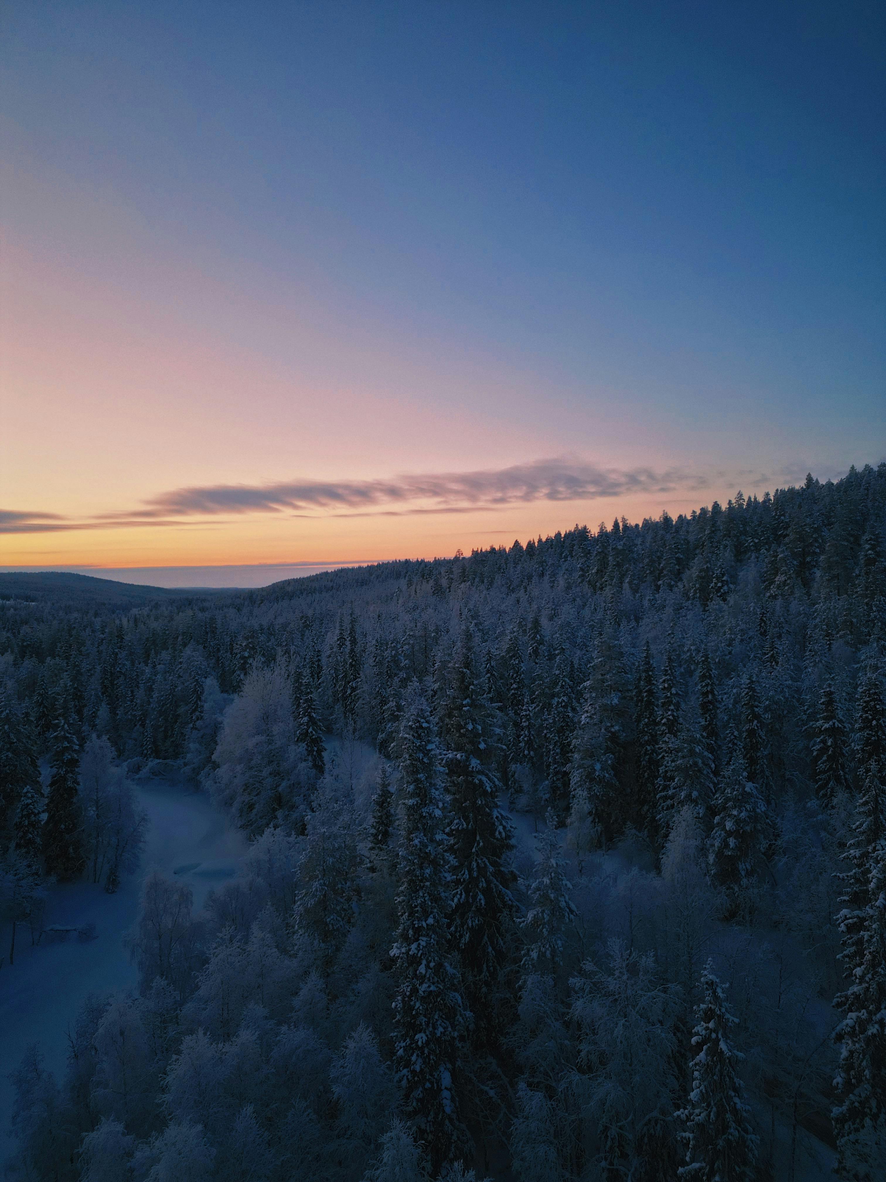 Lapland nature · Free Stock Photo