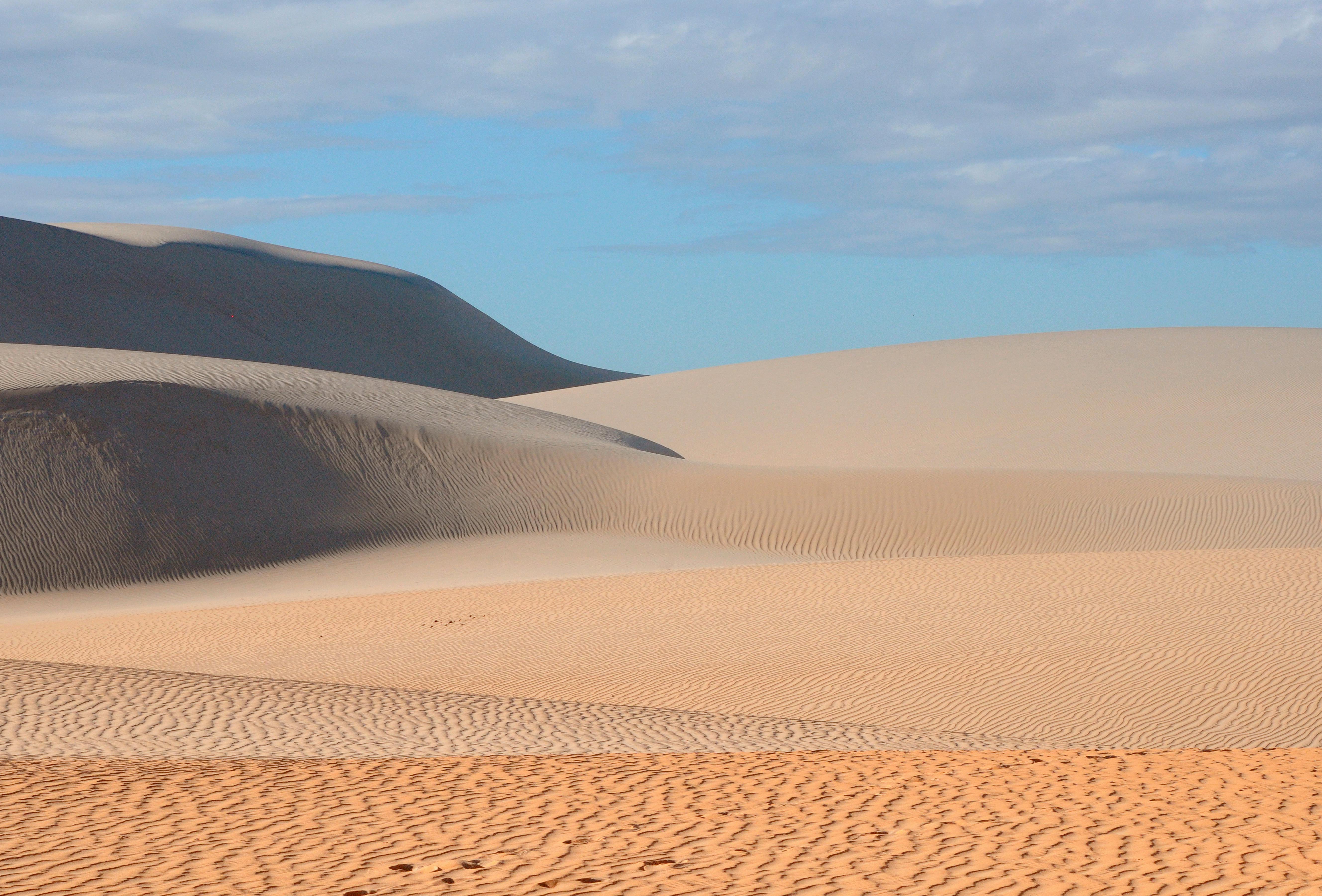 3.748+ Fotos y Imágenes de Dunas Gratis · Banco de Fotos Gratis