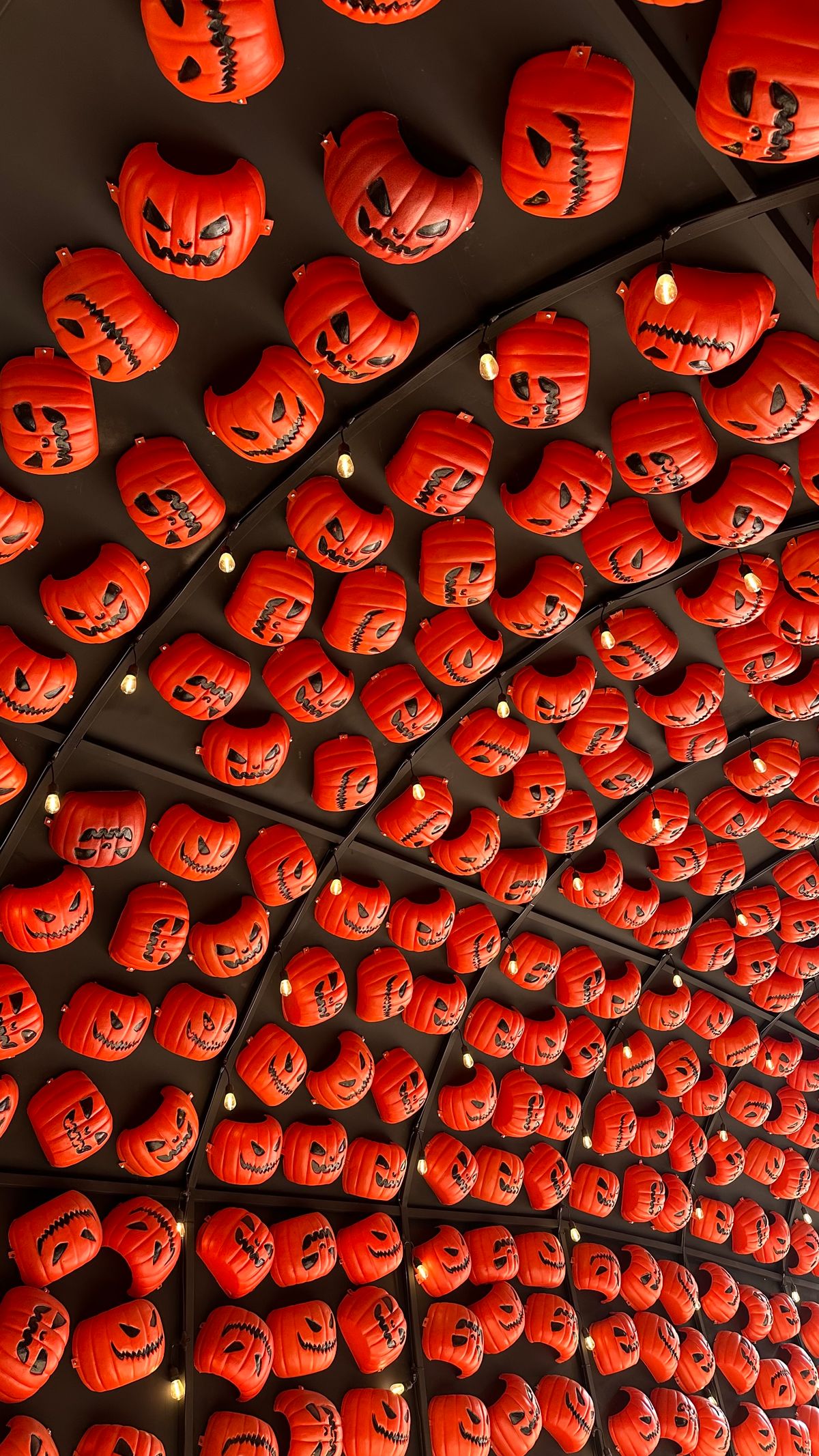 Jack O Lanterns Photos, Download The BEST Free Jack O Lanterns Stock ...