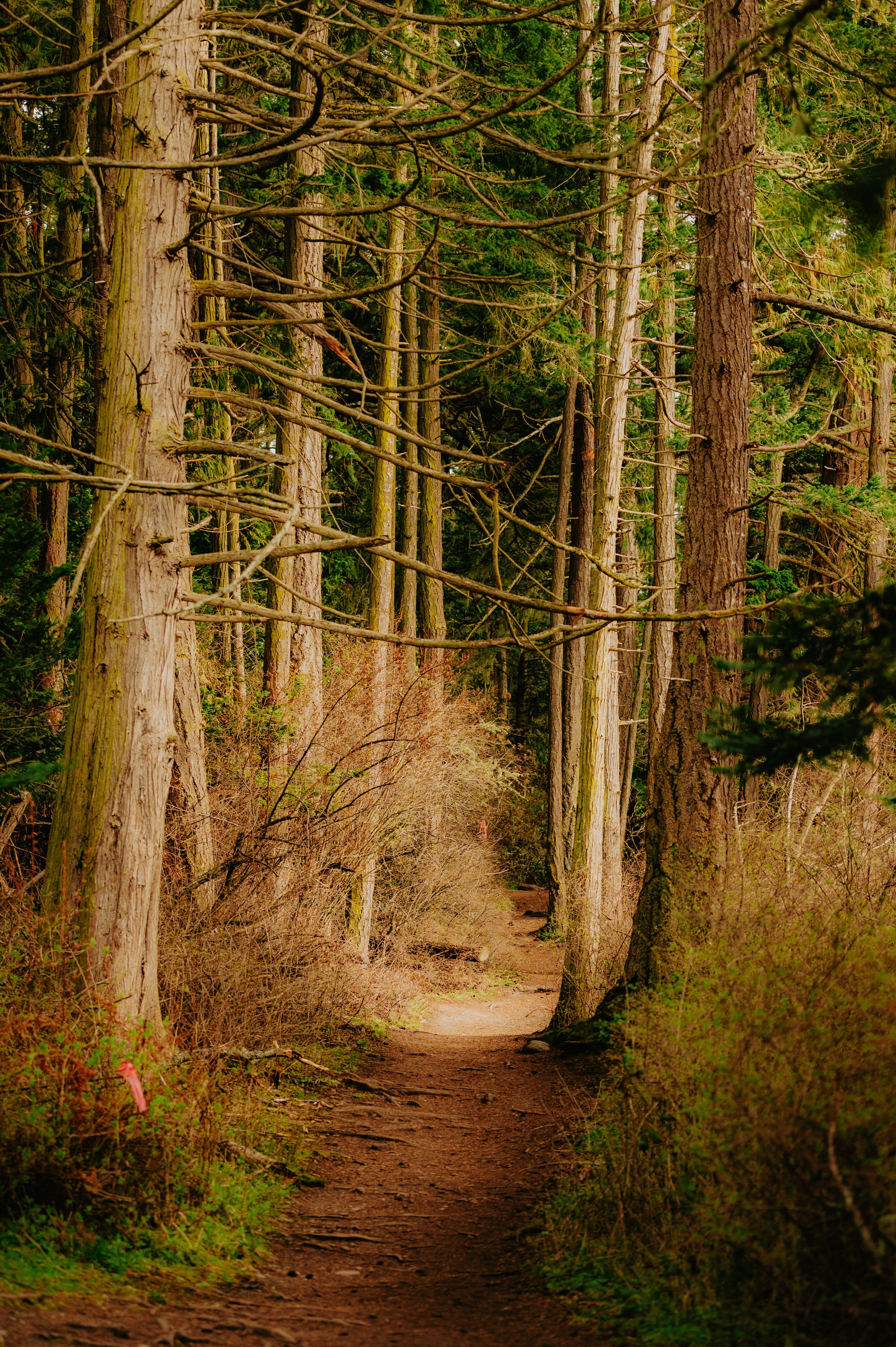 Floor Trail Photos, Download The BEST Free Floor Trail Stock Photos ...