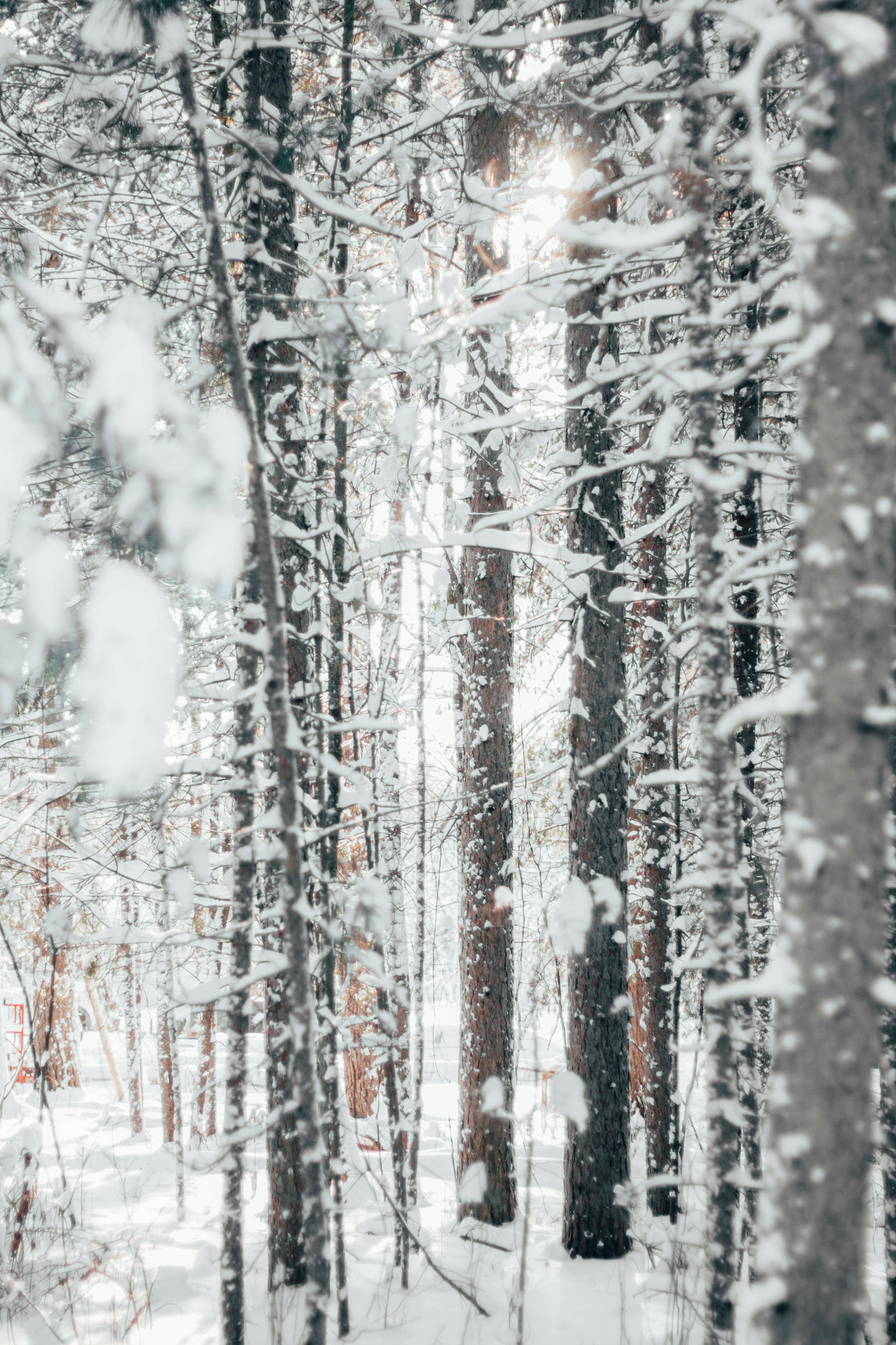 Shane Lawler - การถ่ายภาพ