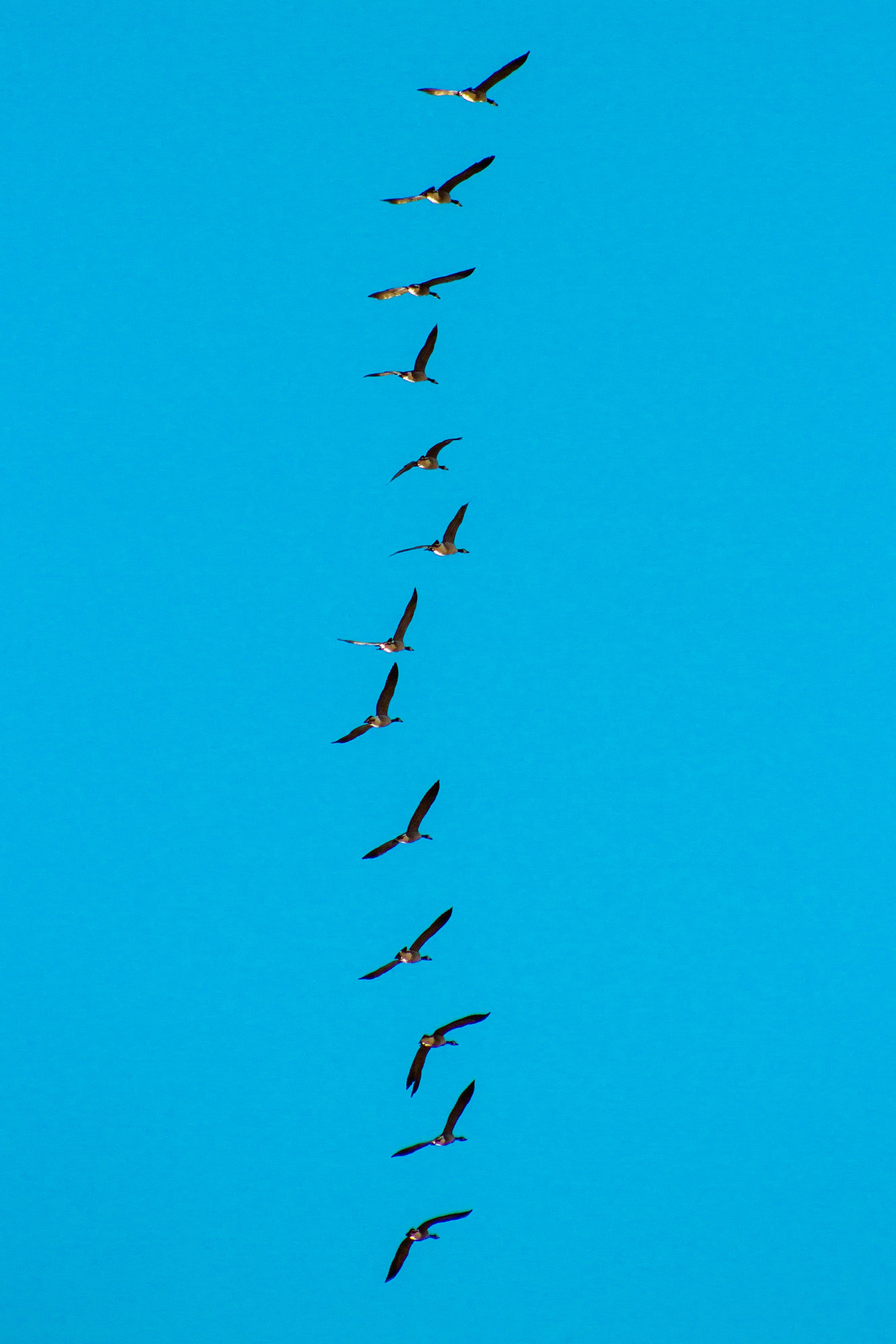 Shane Lawler - การถ่ายภาพ