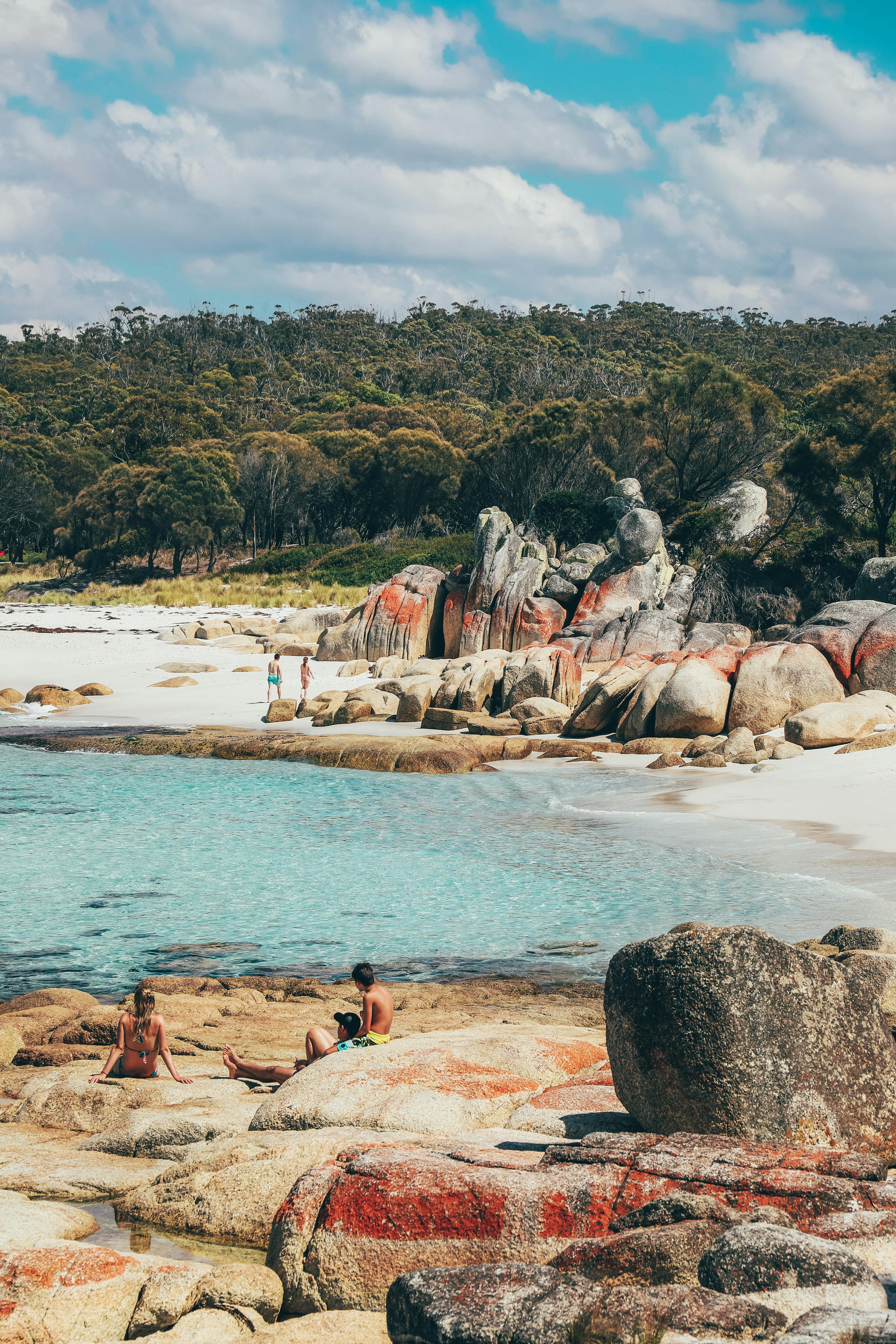 People Sunbathing on a Rocky Beach · Free Stock Photo
