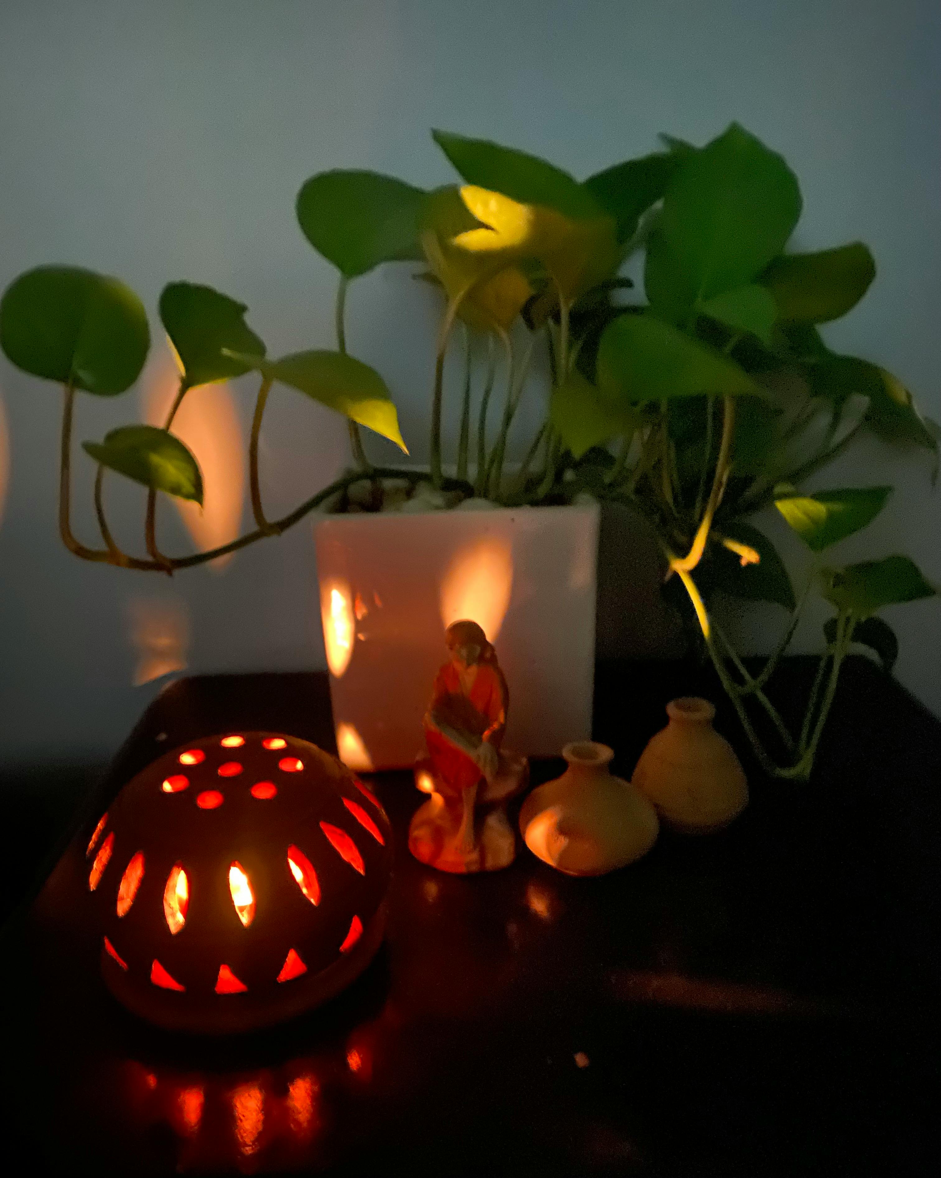 Rakhee Verma - 写真