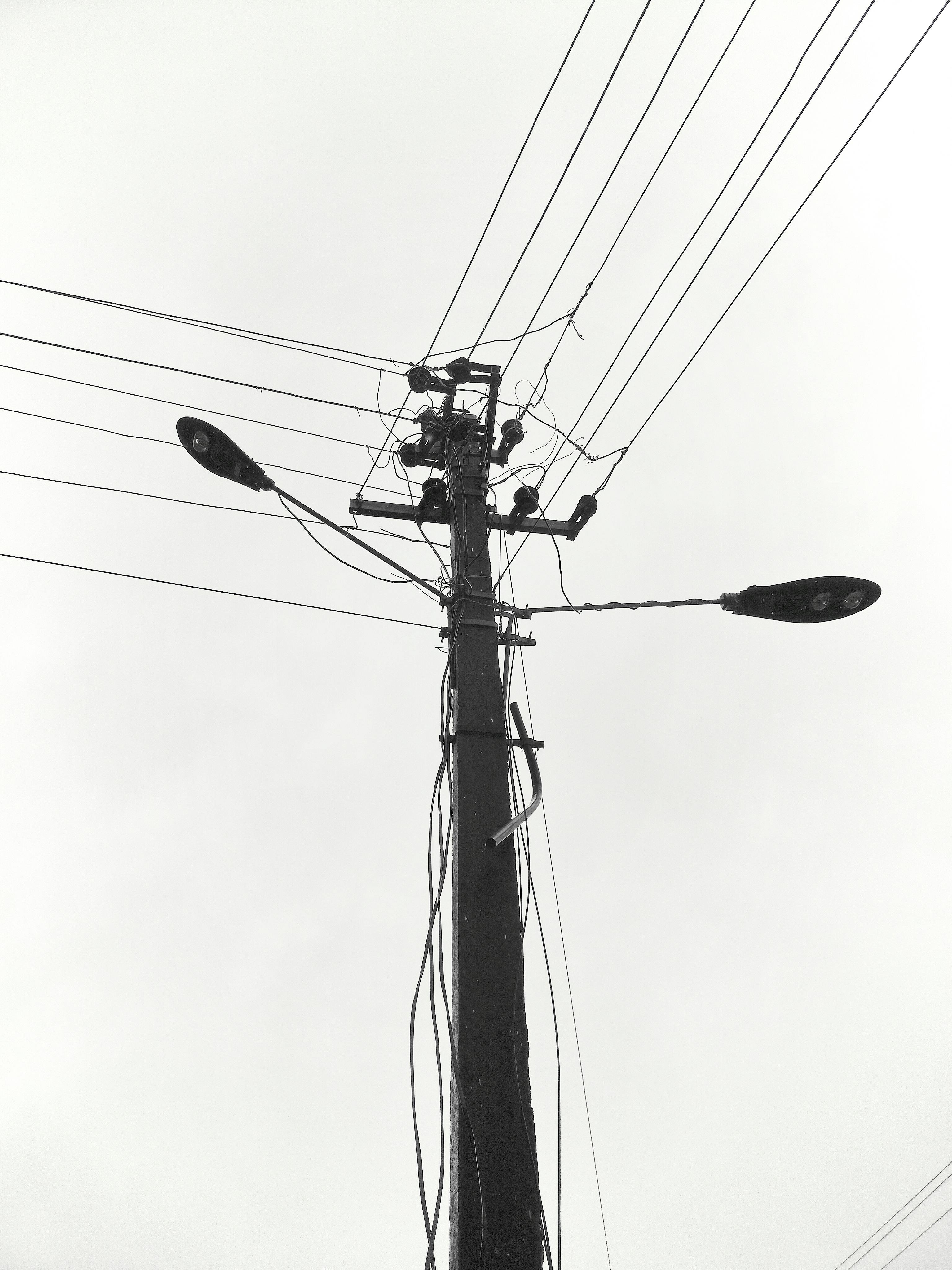 Skydon pereira - 写真