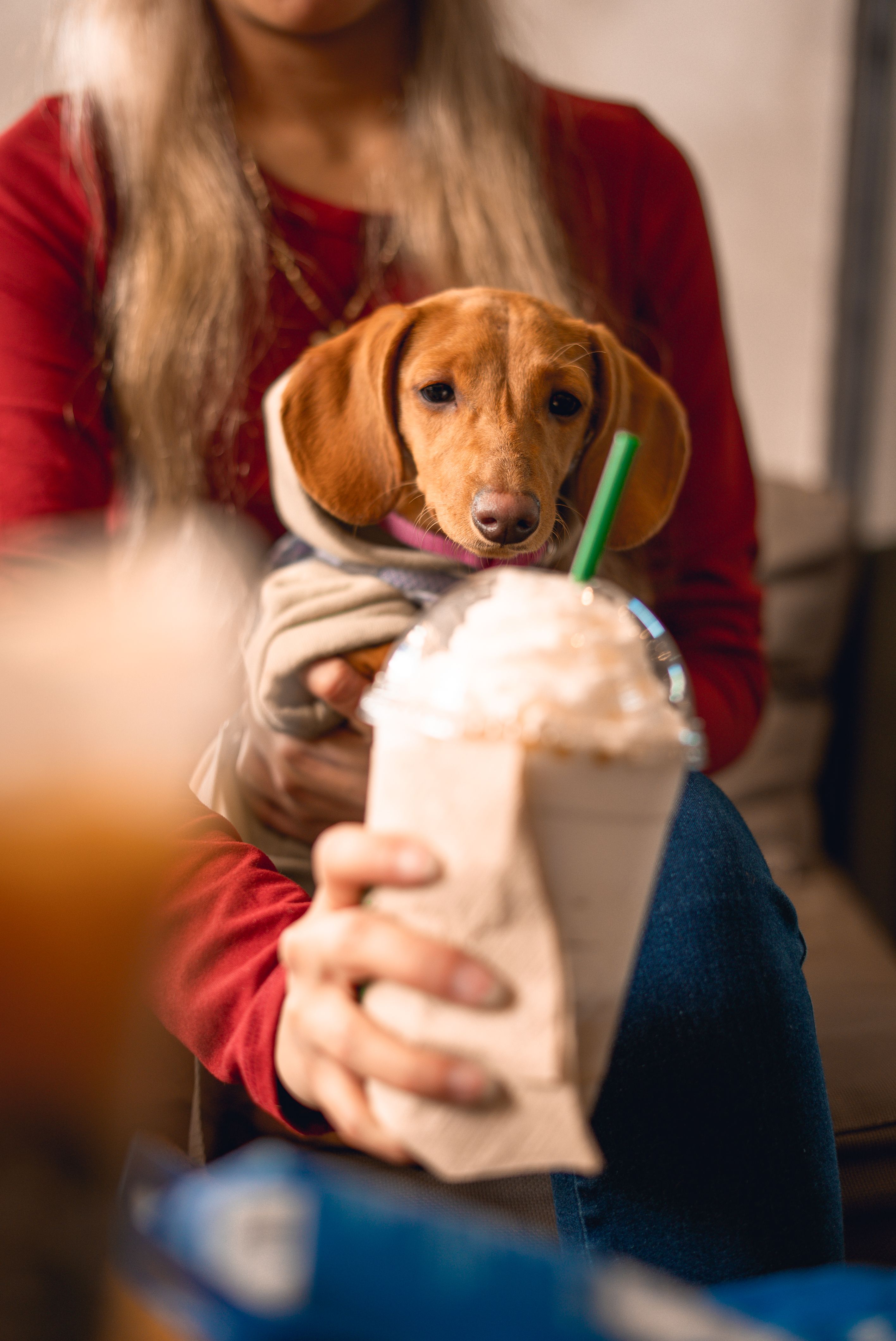 Coffee Shop Boy Photos, Download The BEST Free Coffee Shop Boy Stock ...