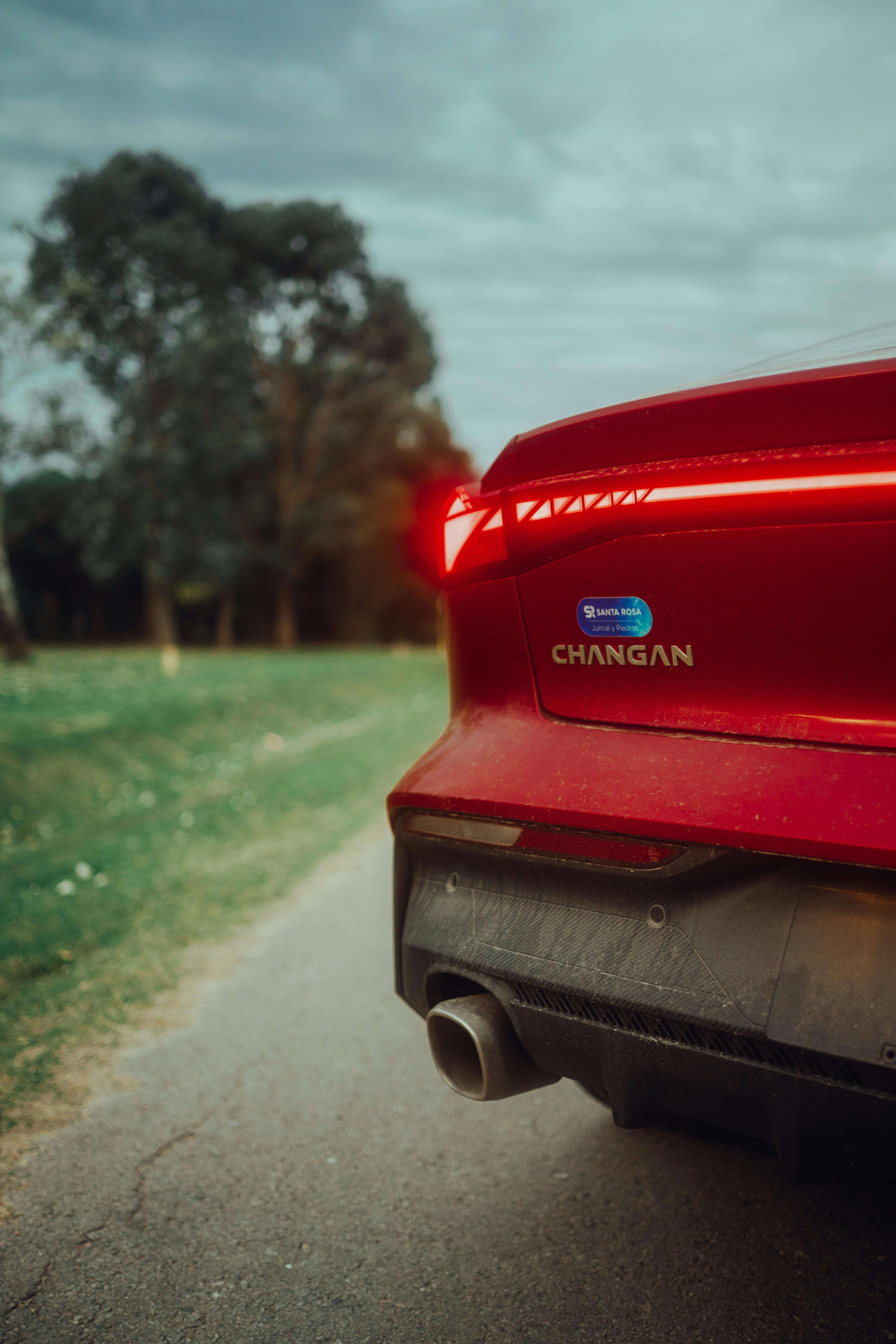 19+ Fotos y Imágenes de Chango Gratis · Banco de Fotos Gratis