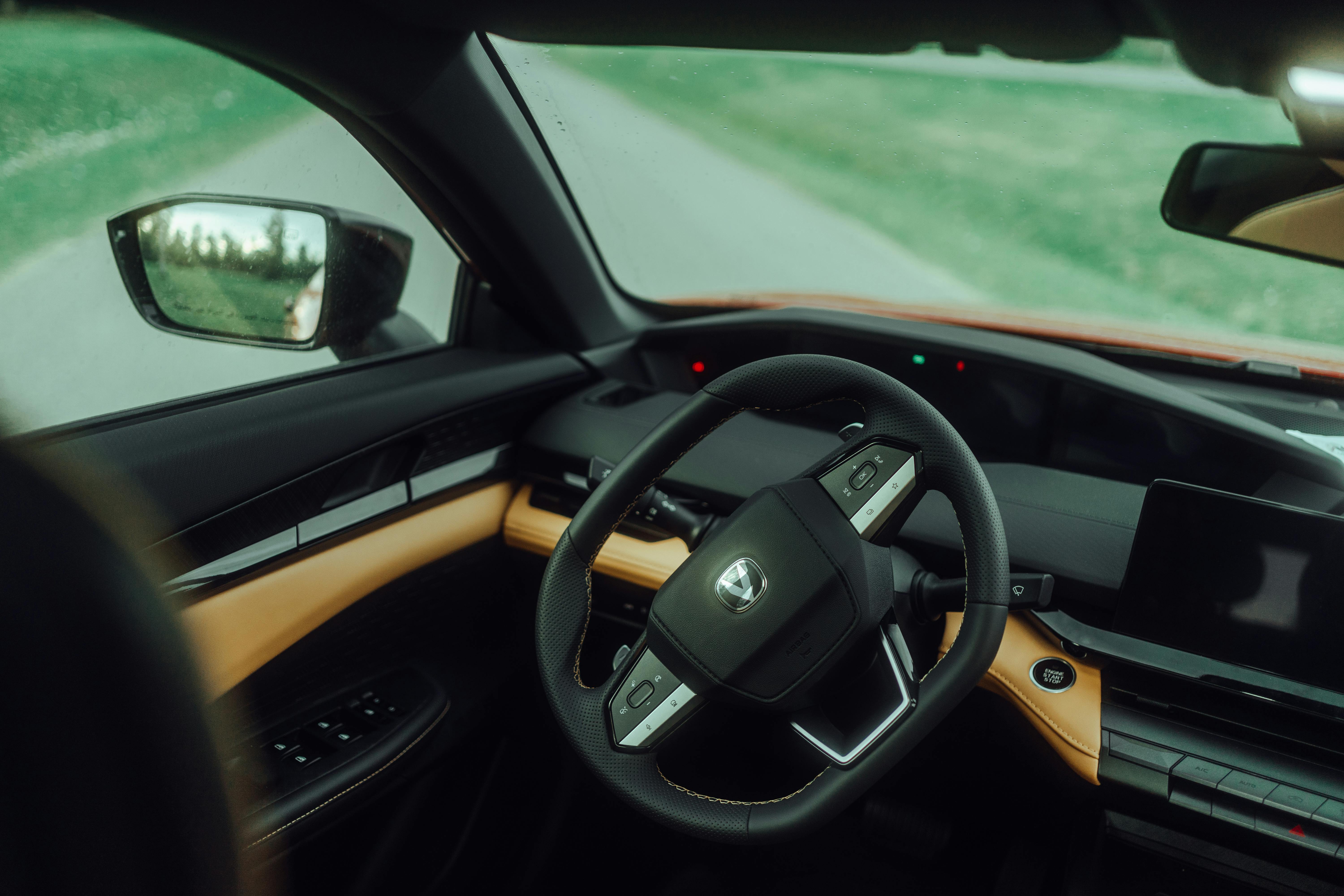 19+ Fotos y Imágenes de Chango Gratis · Banco de Fotos Gratis