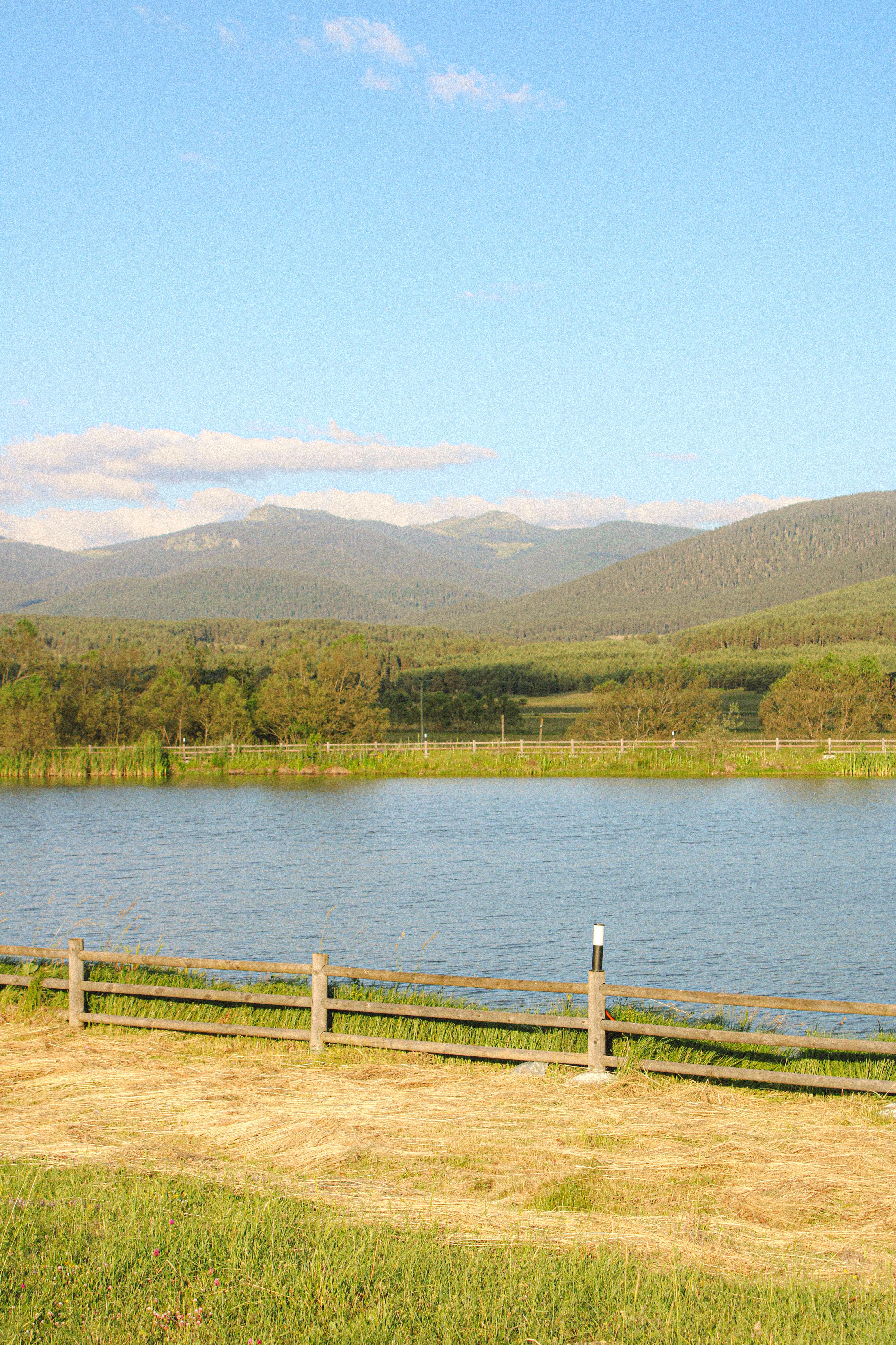Fenced Lake by Forested Mountains · Free Stock Photo