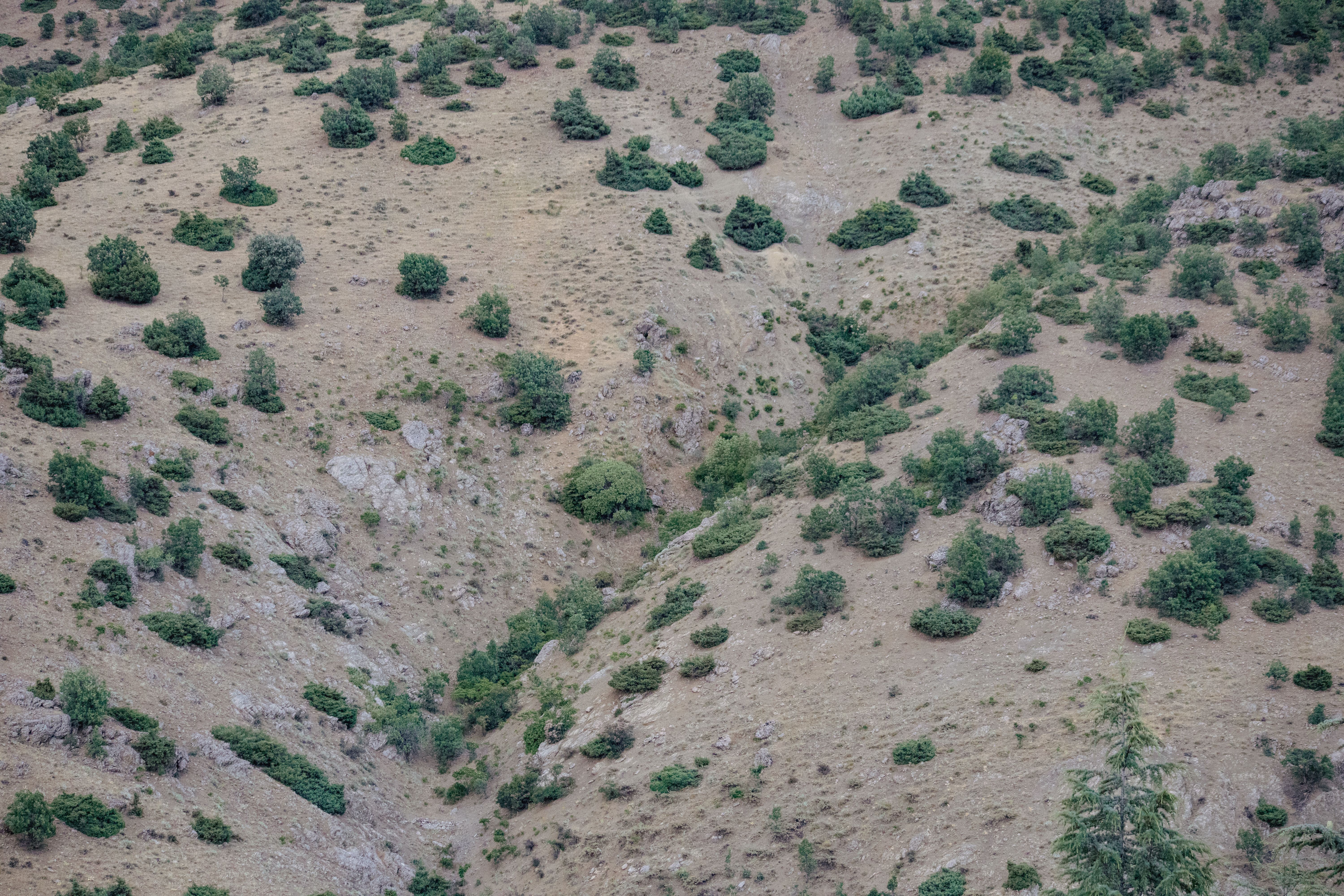 Foto de stock gratuita sobre desertificación, desierto, medio ambiente ...
