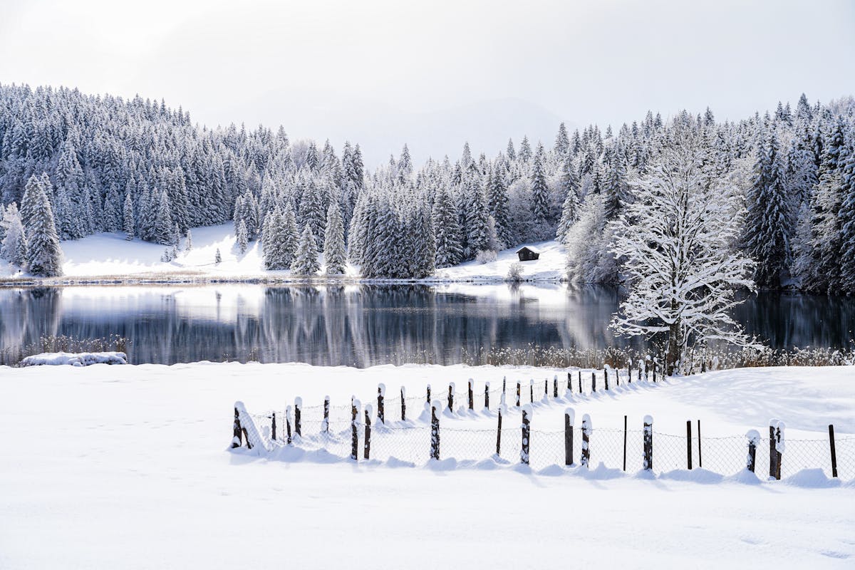 Snow, Trees, Water Photos, Download The BEST Free Snow, Trees, Water ...