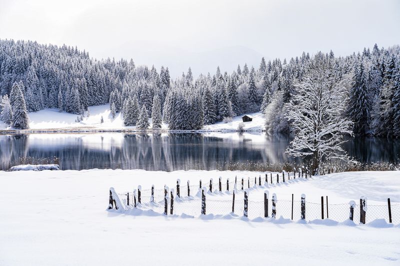 Snow, Trees, Water Photos, Download The BEST Free Snow, Trees, Water ...