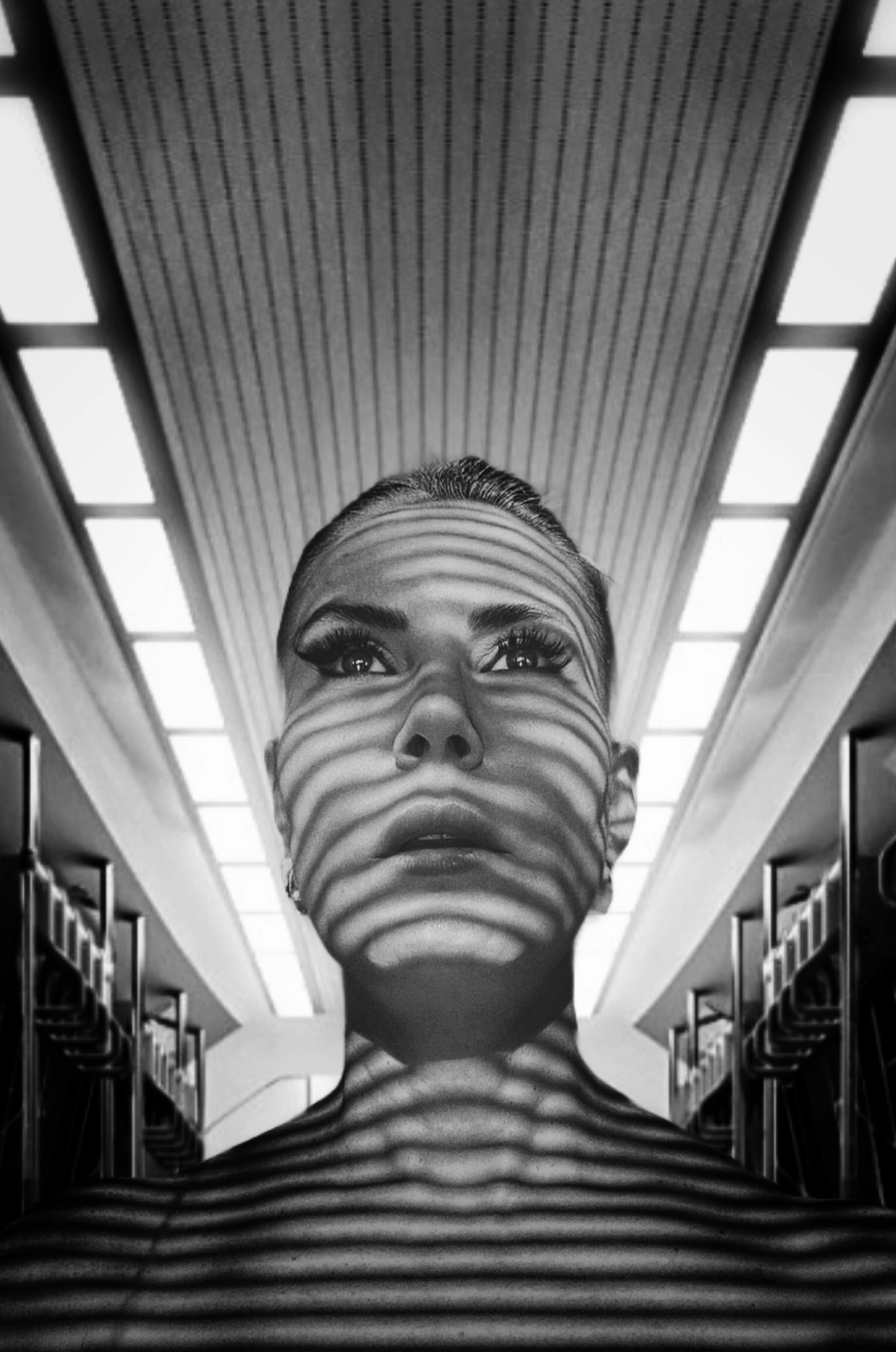 Shadows on Face of Beautiful Woman · Free Stock Photo