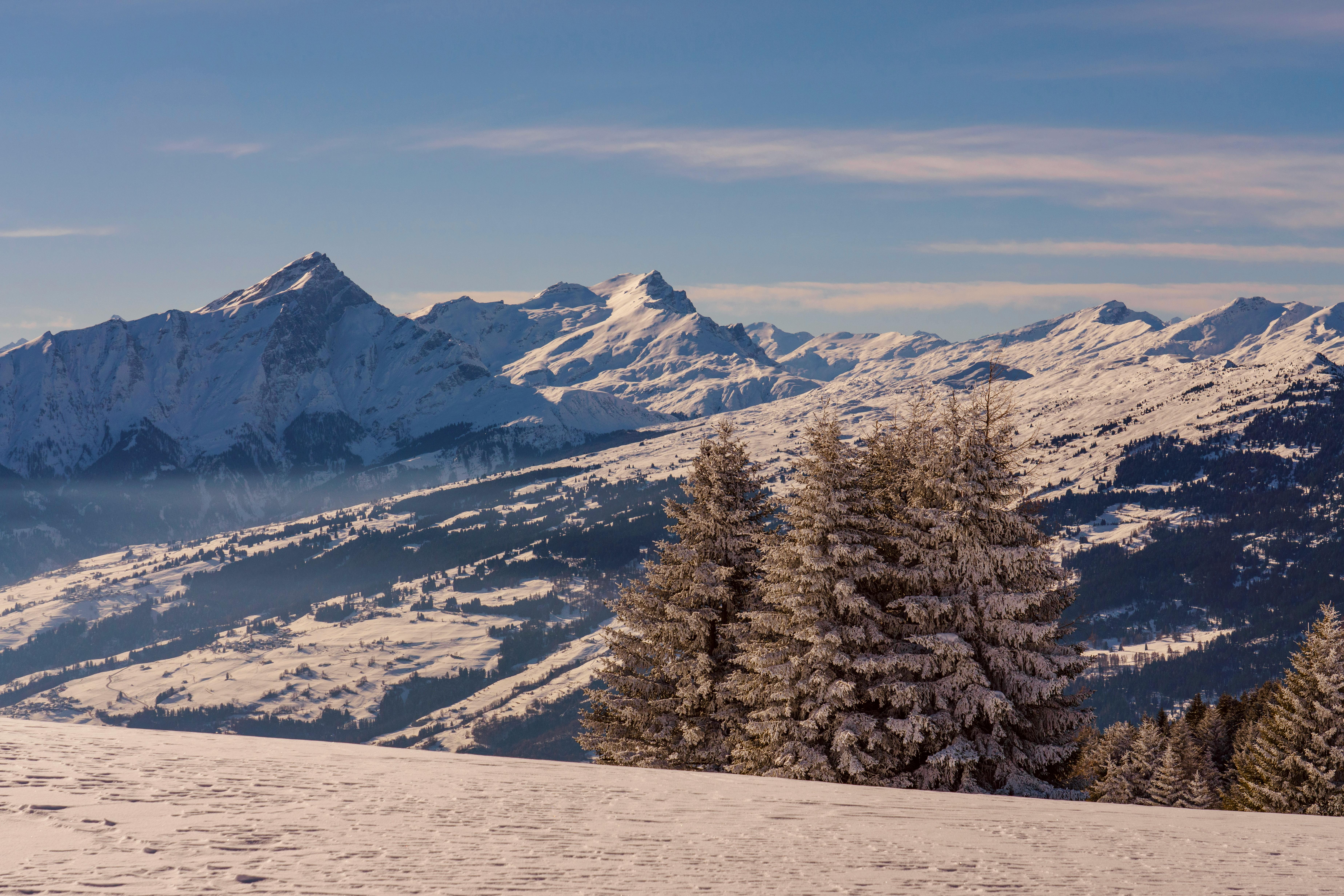 Schön+Figgen Photos, Download The BEST Free Schön+Figgen Stock Photos ...