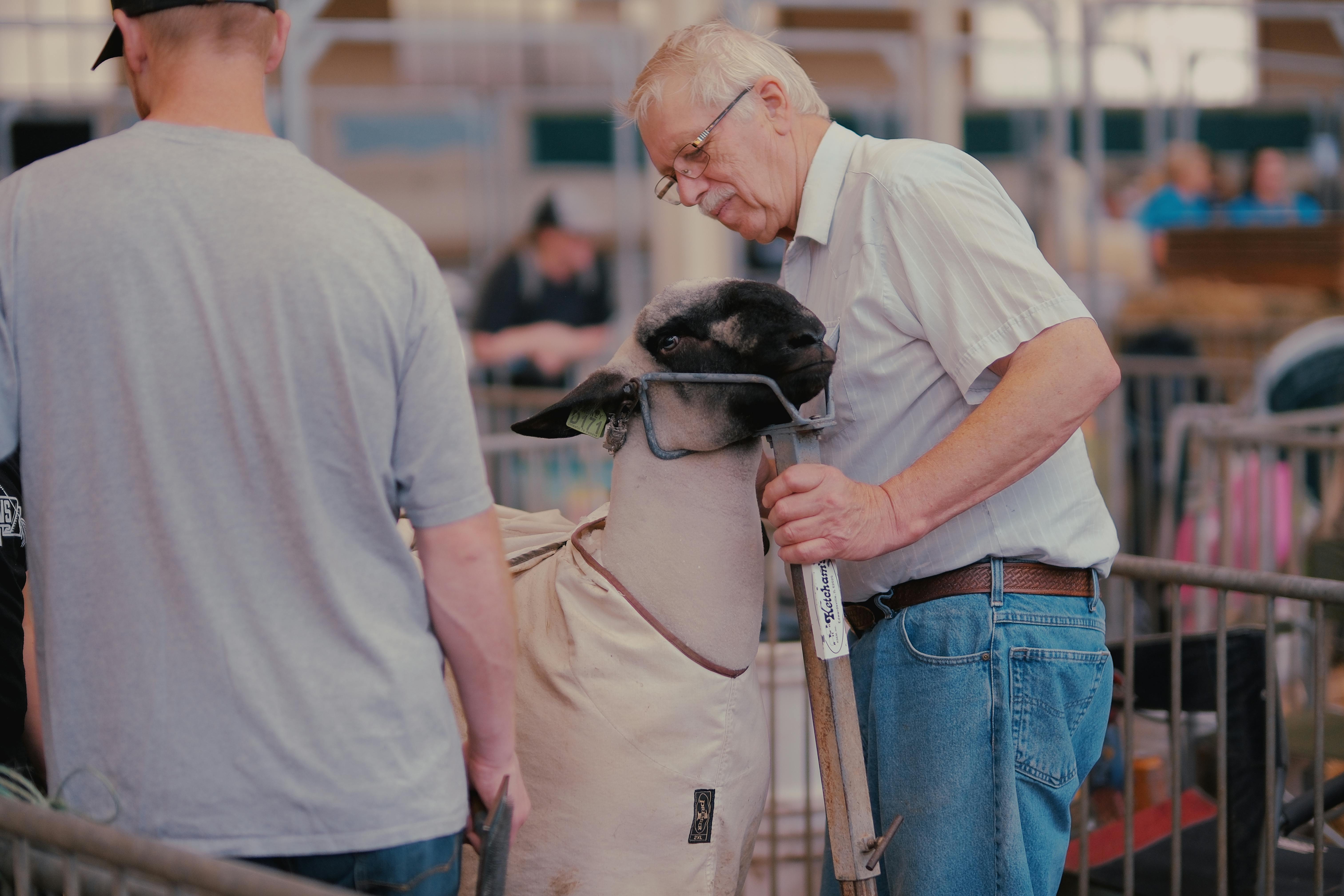 Restrain Photos, Download The BEST Free Restrain Stock Photos & HD Images