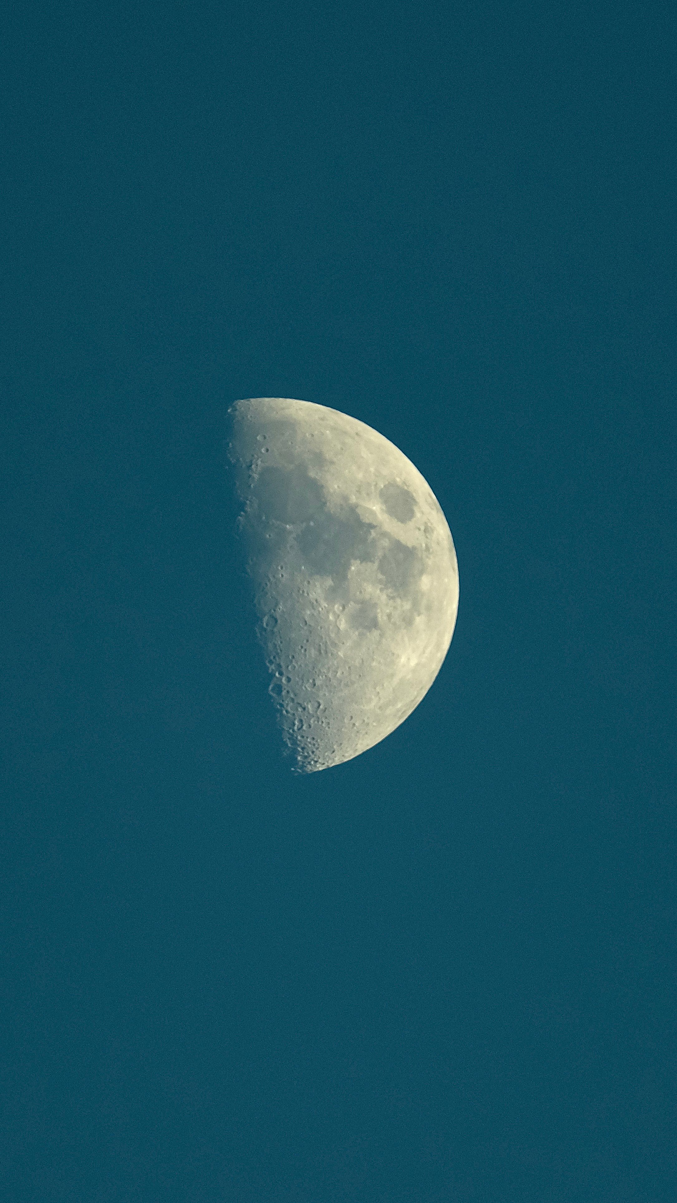 Moon First Quarter in the Evening Sky · Free Stock Photo