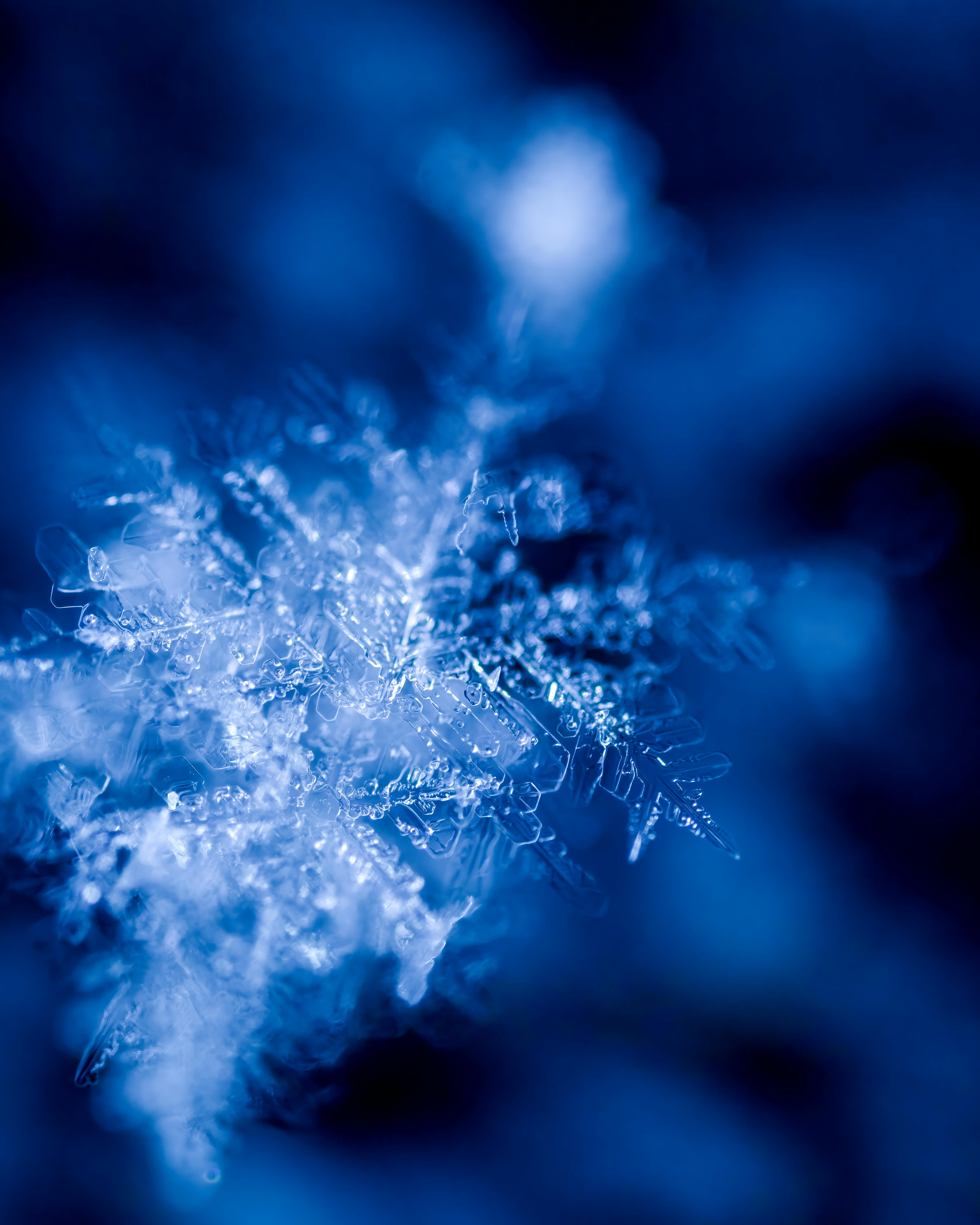 Snowflake in Blue Light · Free Stock Photo