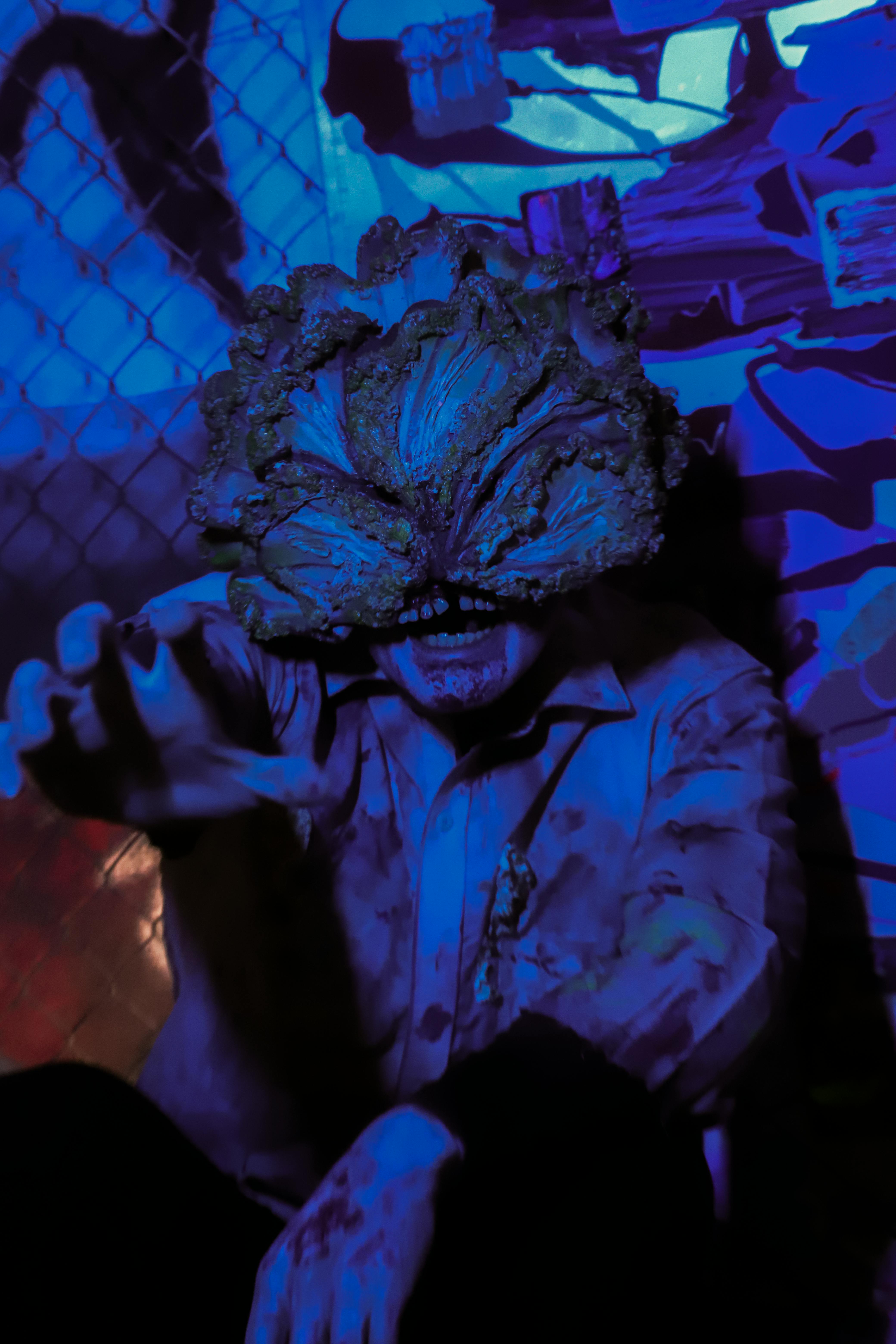 203+ Fotos y Imágenes de The_grinch_ videogame Gratis · Banco de Fotos ...