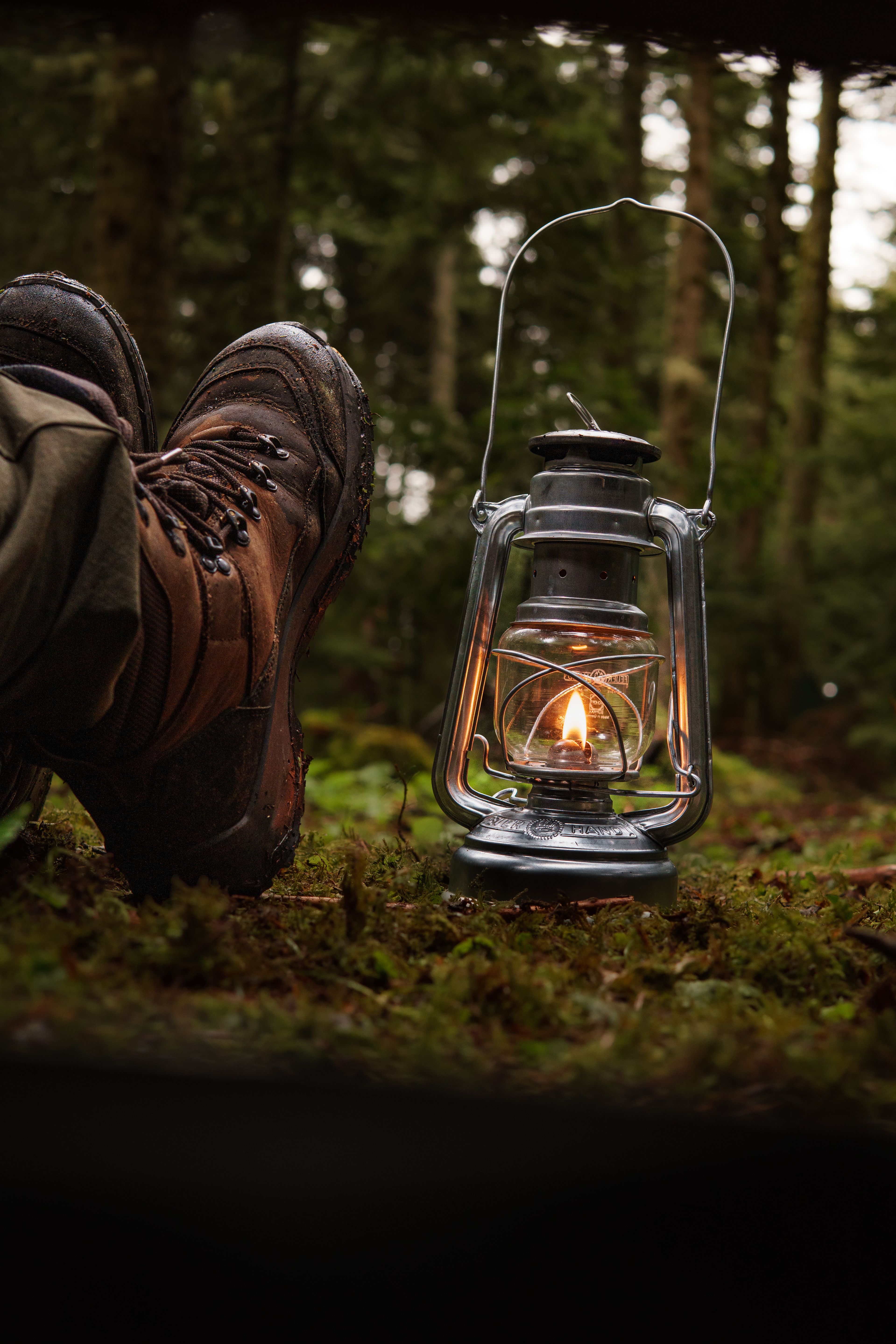 An Oil Lamp in a Forest · Free Stock Photo