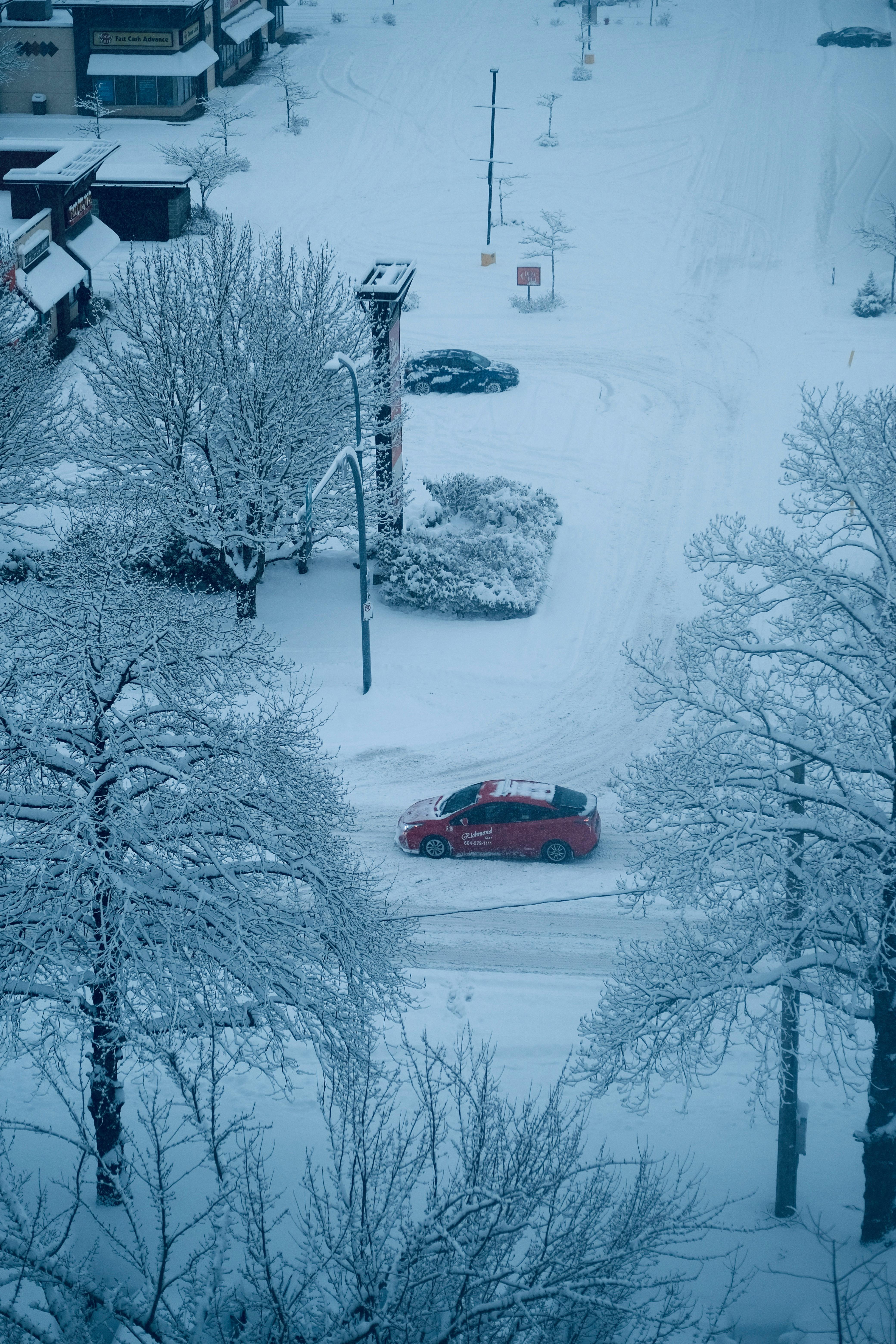 200.000+ Weißer Bilder und Fotos · Kostenlos Downloaden · Pexels Stock ...